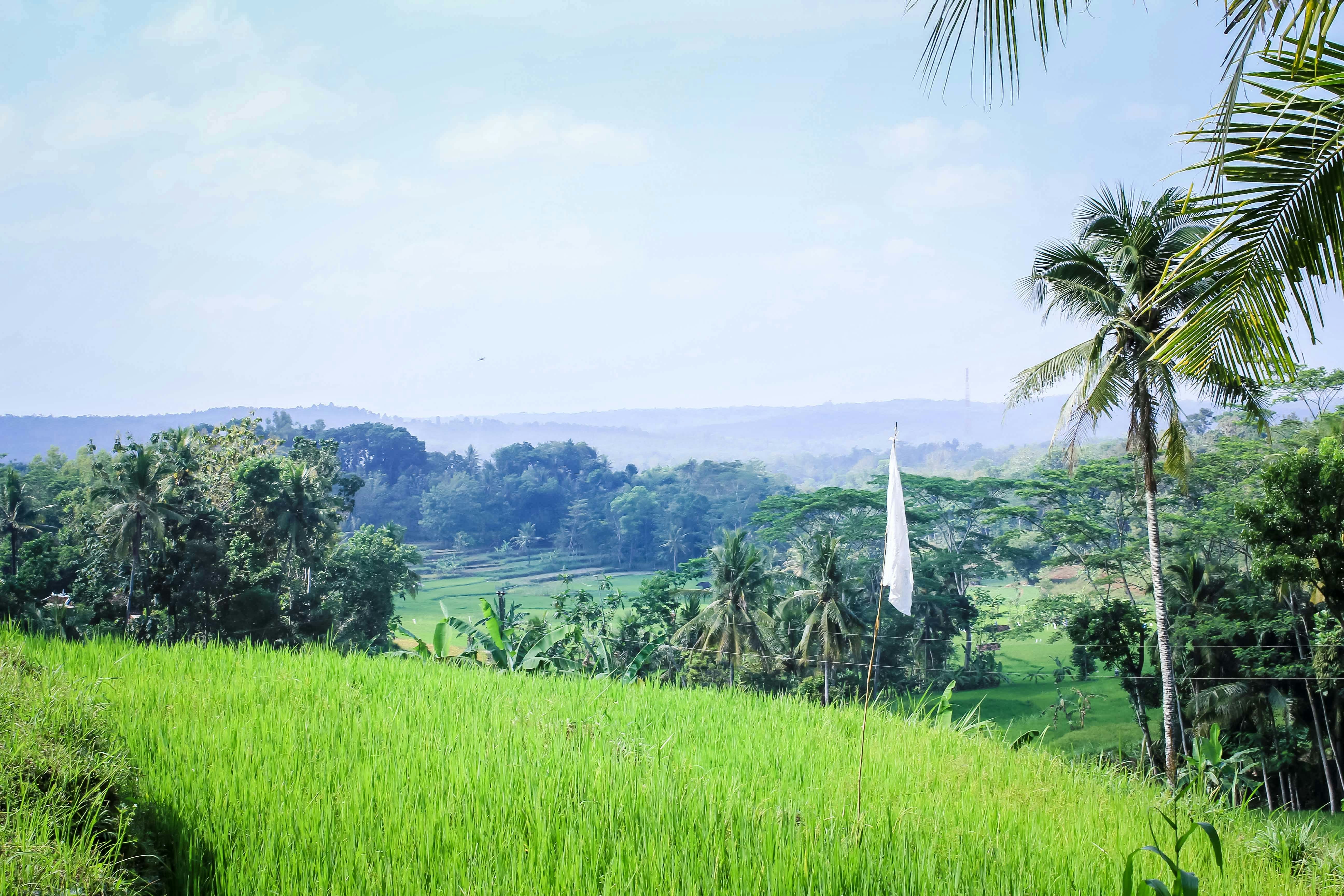 Boman Photography (@bomannn94) | Unsplash Photo Community