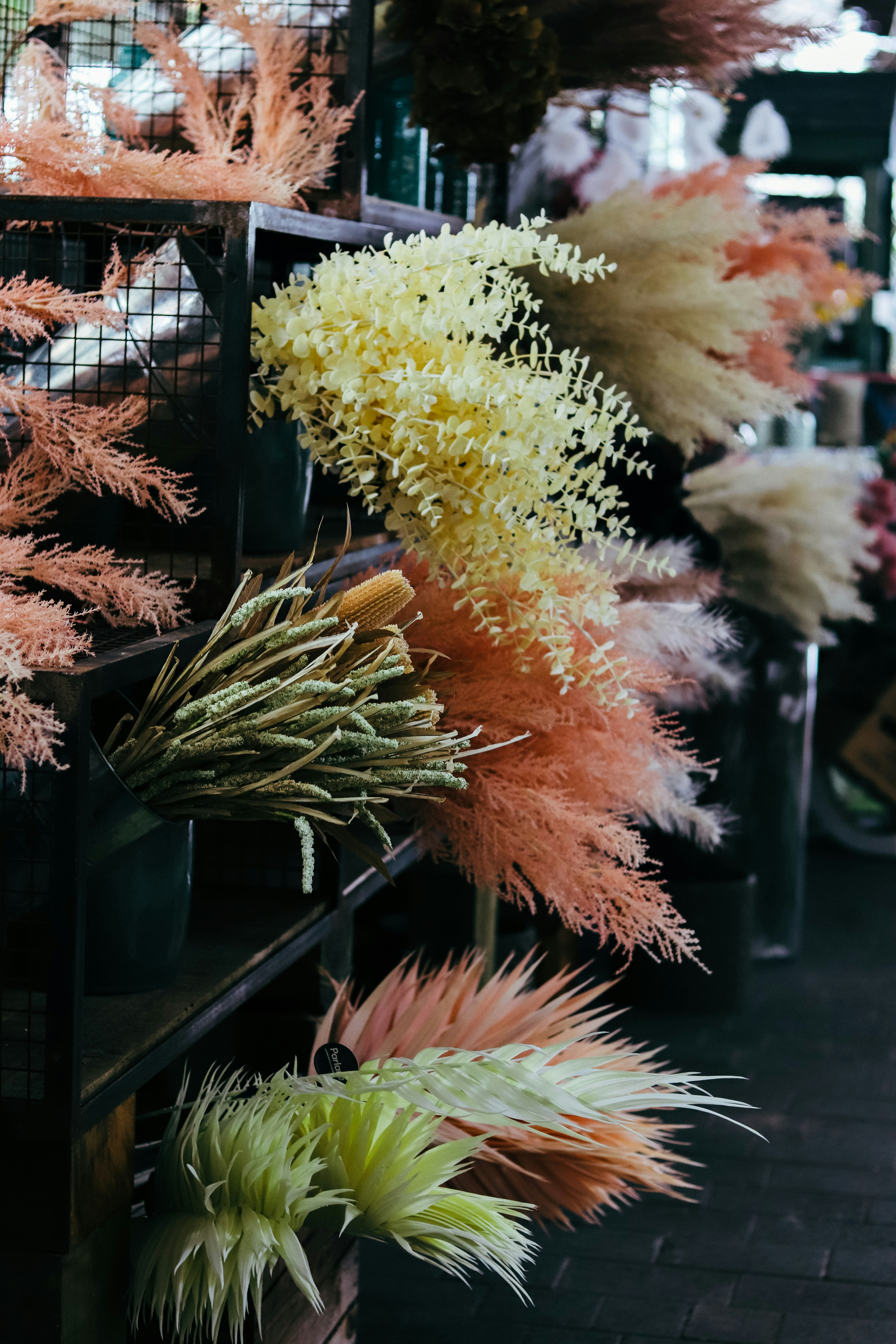 Pastel Pampas at the Market: A Quiet Corridor of Dried Florals