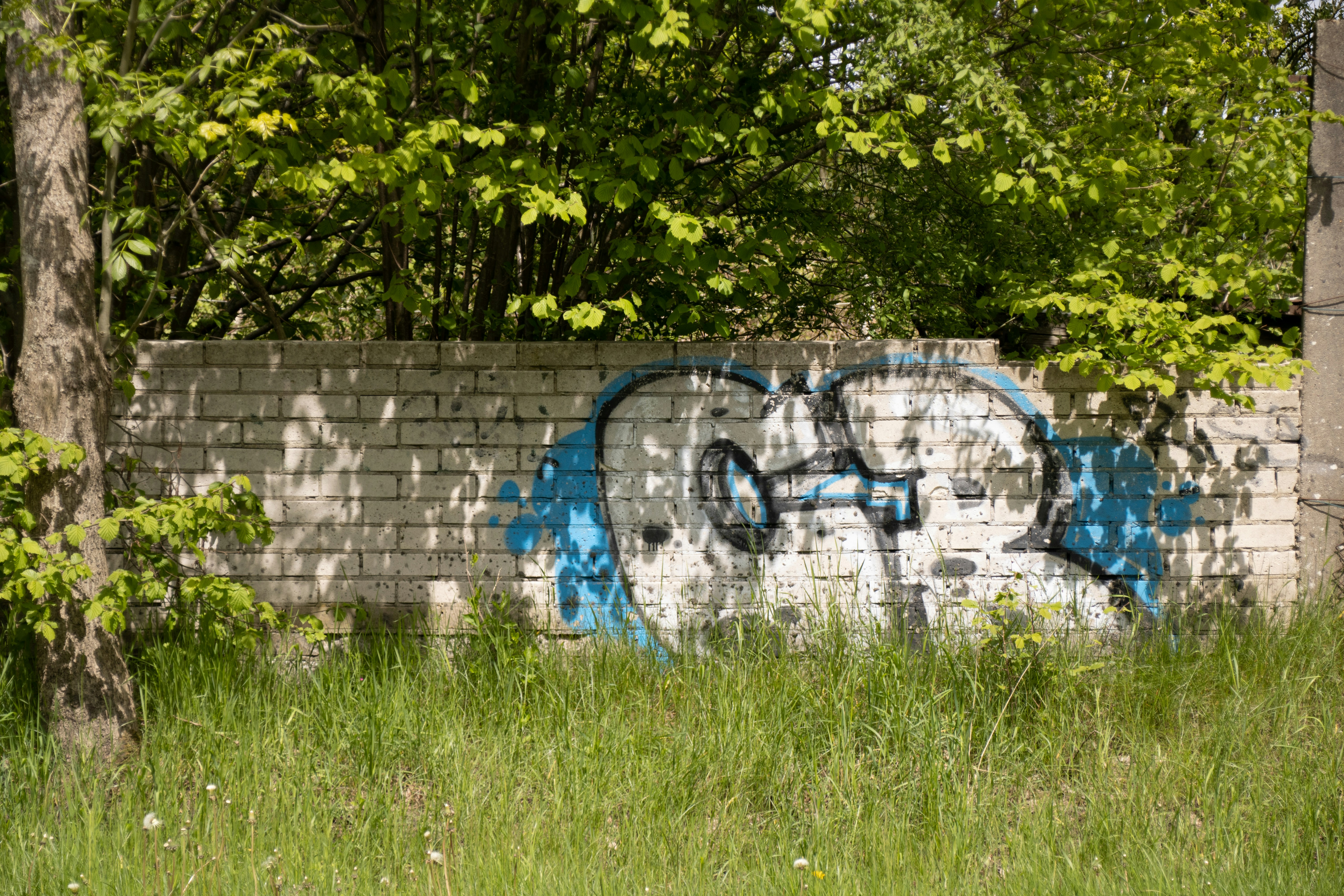 Azure Halo Graffiti on a Weathered Brick Wall in Sunlit Park