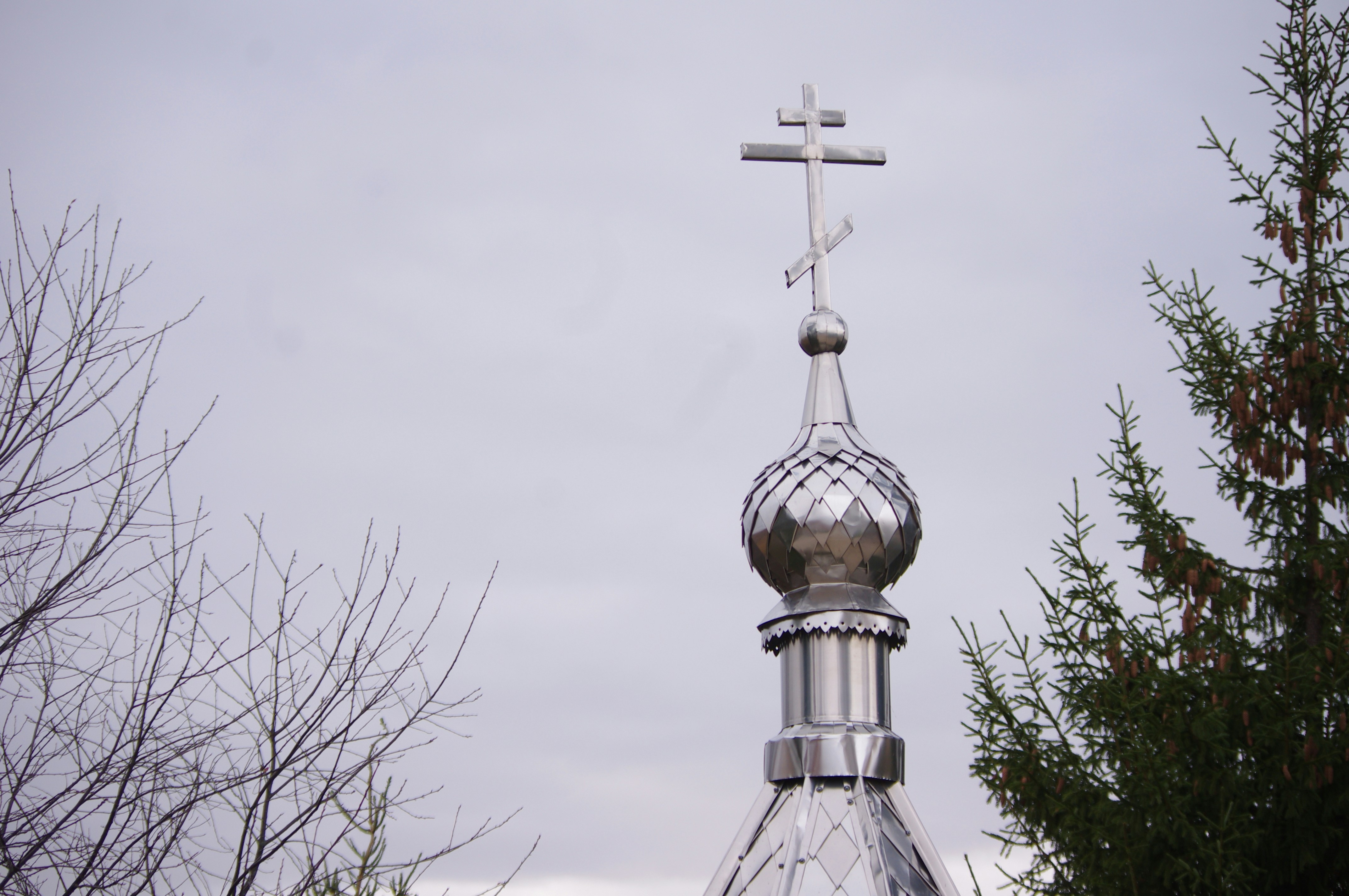 A silver dome topped with a cross rises above leafless branches and evergreen trees under a cloudy sky.