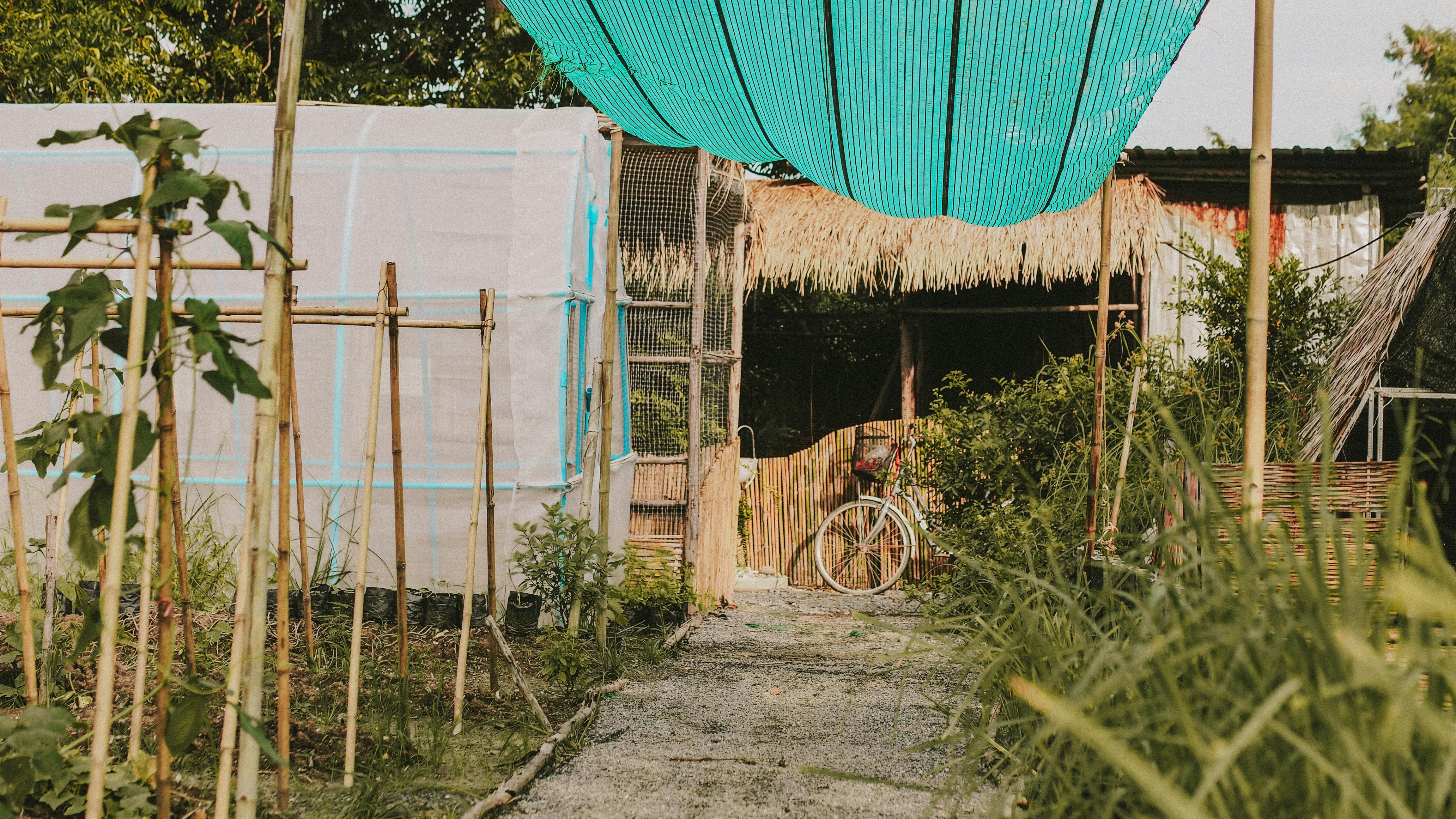 Garden Pathway Under the Turquoise Canopy