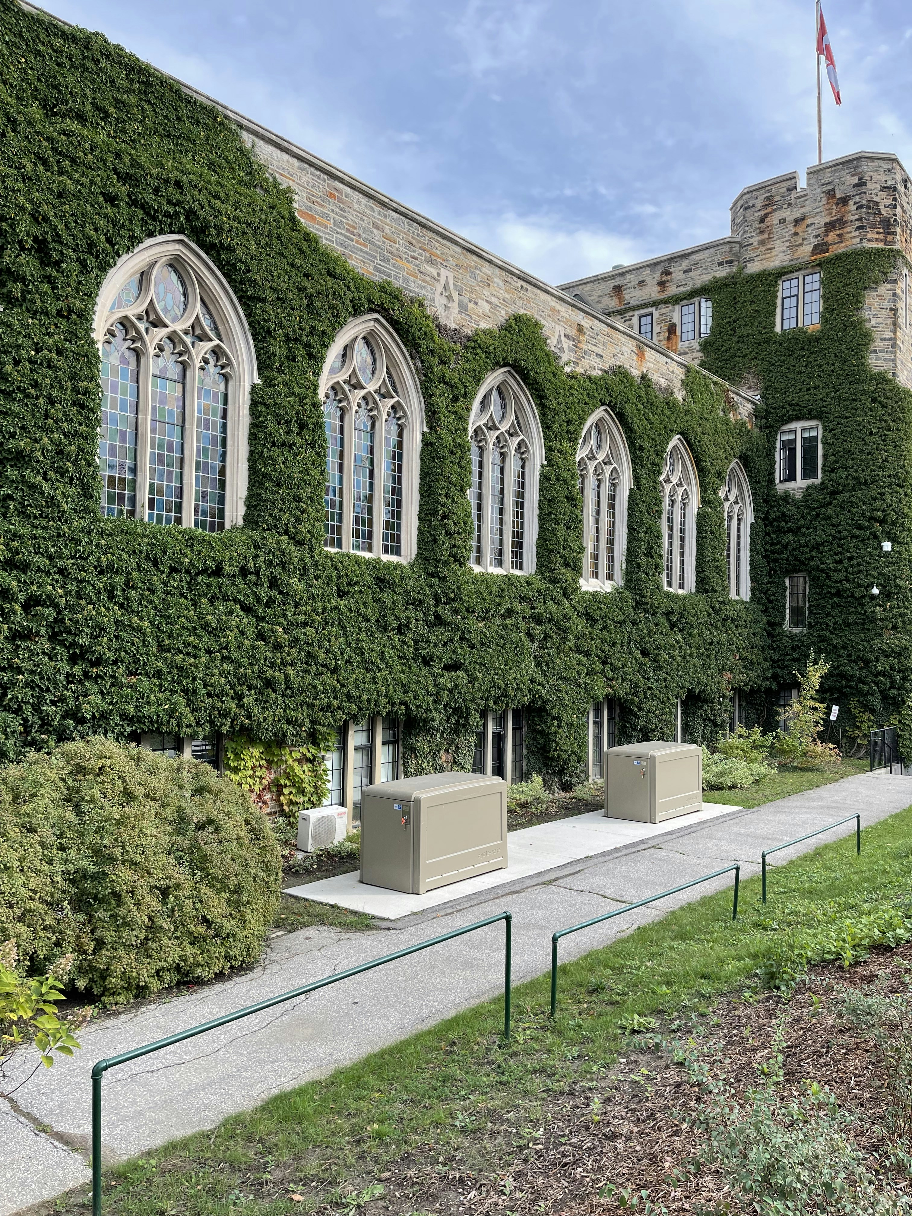 Ivy Crowned Arches Along a Sunlit Gothic Facade