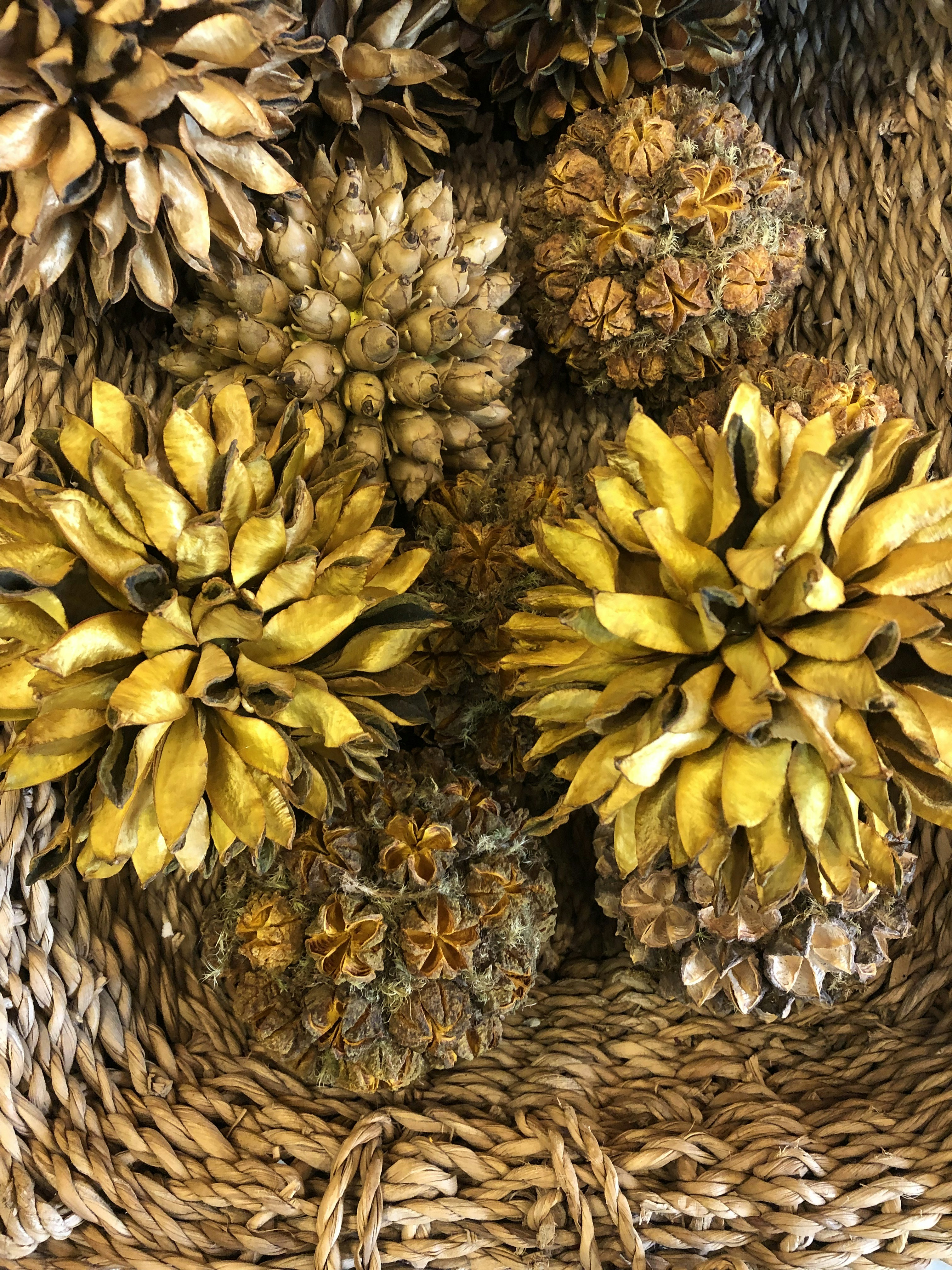Crown Rosettes: Golden Pineapple Clusters Nestled in a Handwoven Basket