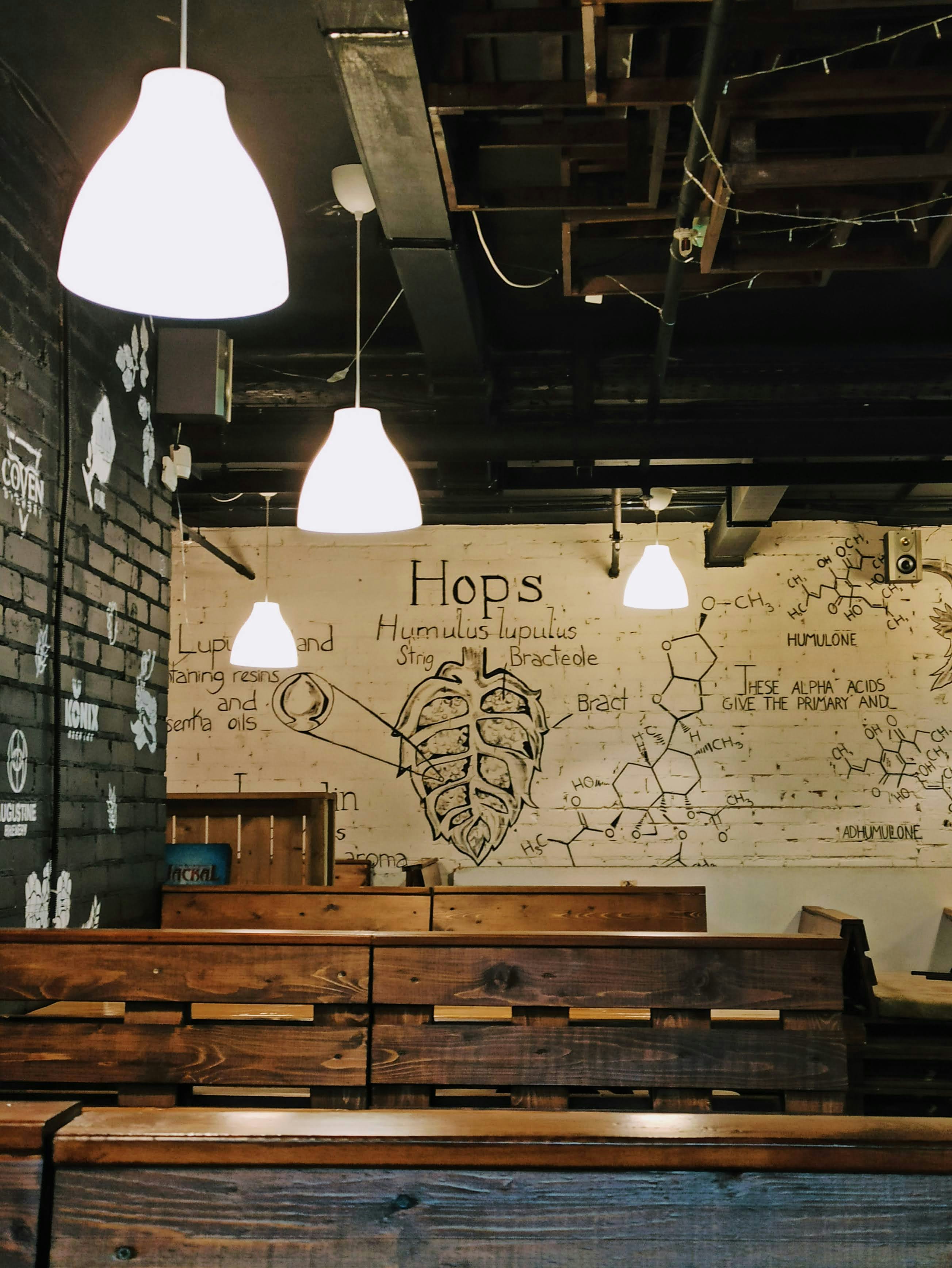 Hops & Hexes: A Cozy Chemistry Wall in Warm Lighting