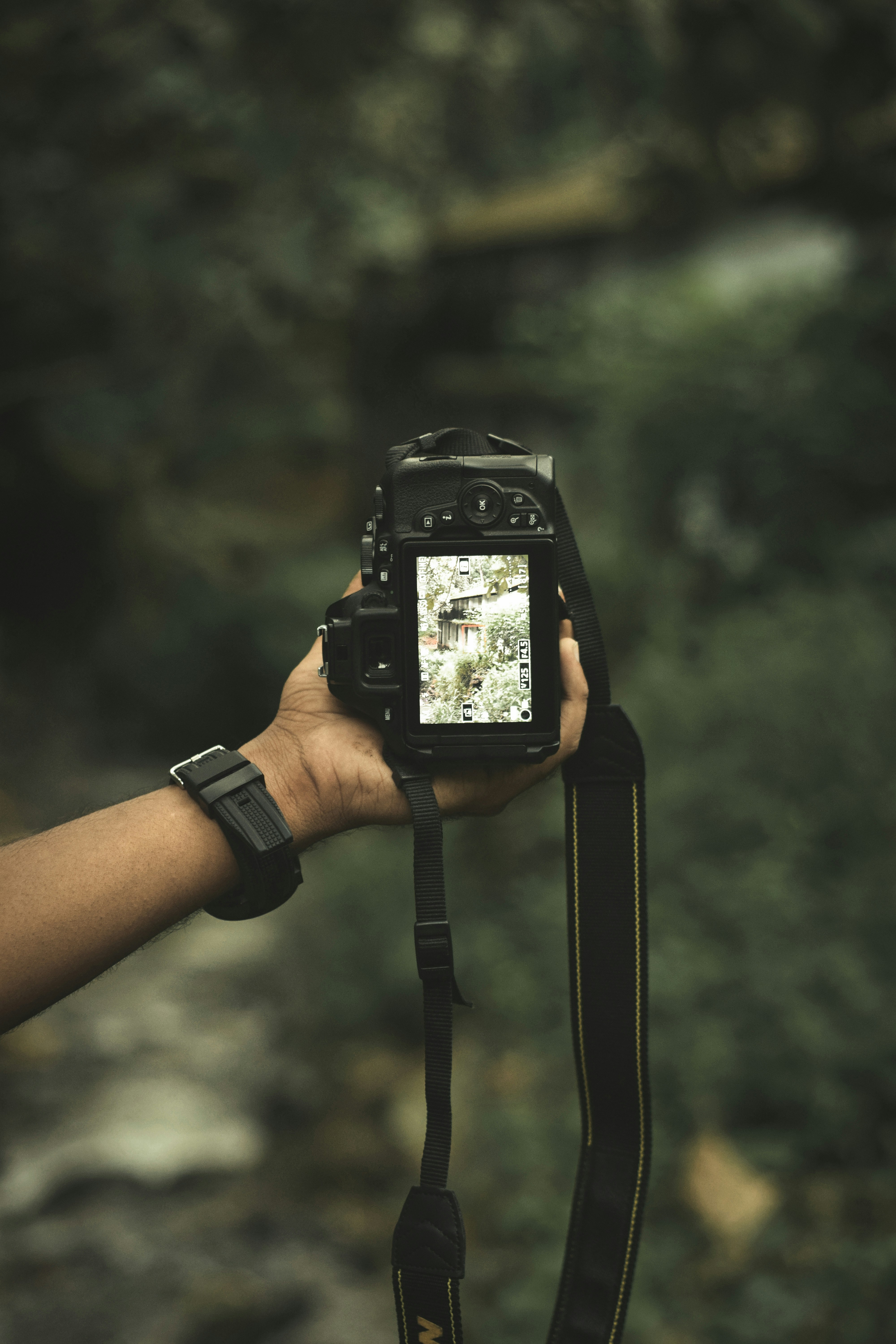 Handheld Nikon D5300 capturing a serene outdoor scene, showcasing the viewfinder's display amidst lush greenery.
