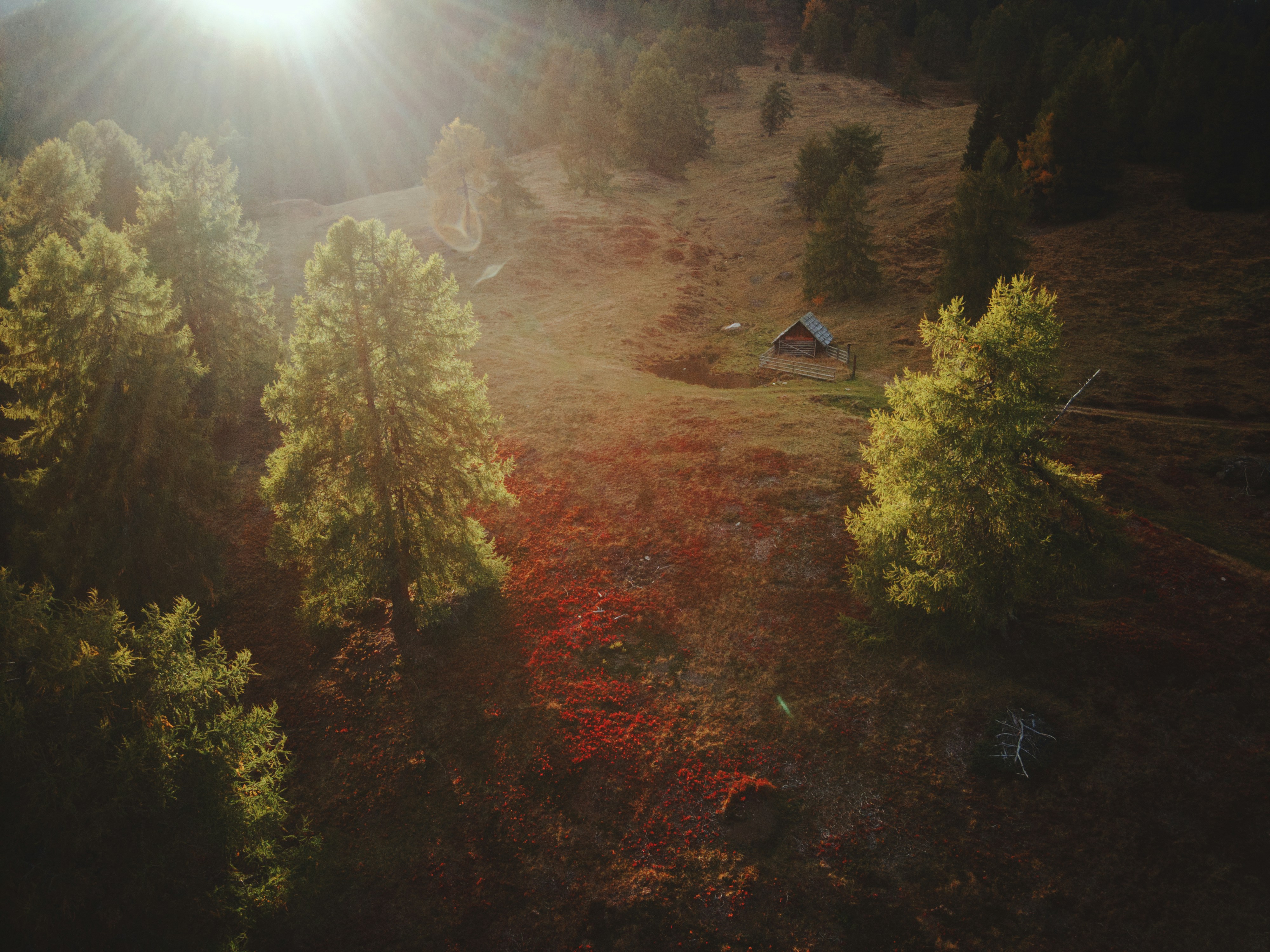 an aerial view of a wooded area with a house in the distance