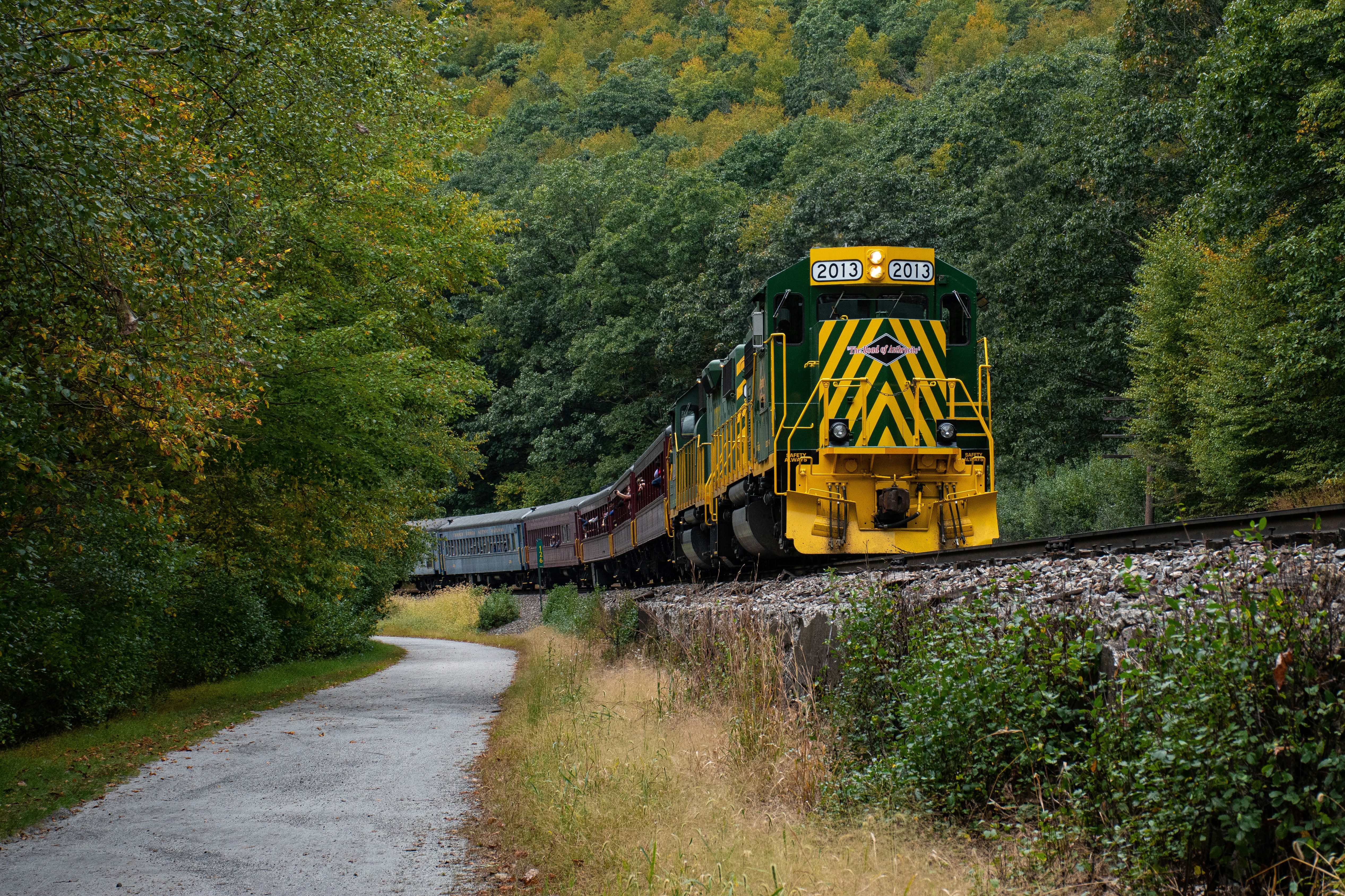 Un train jaune et vert traversant une forêt photo – Photo Etats-Unis ...