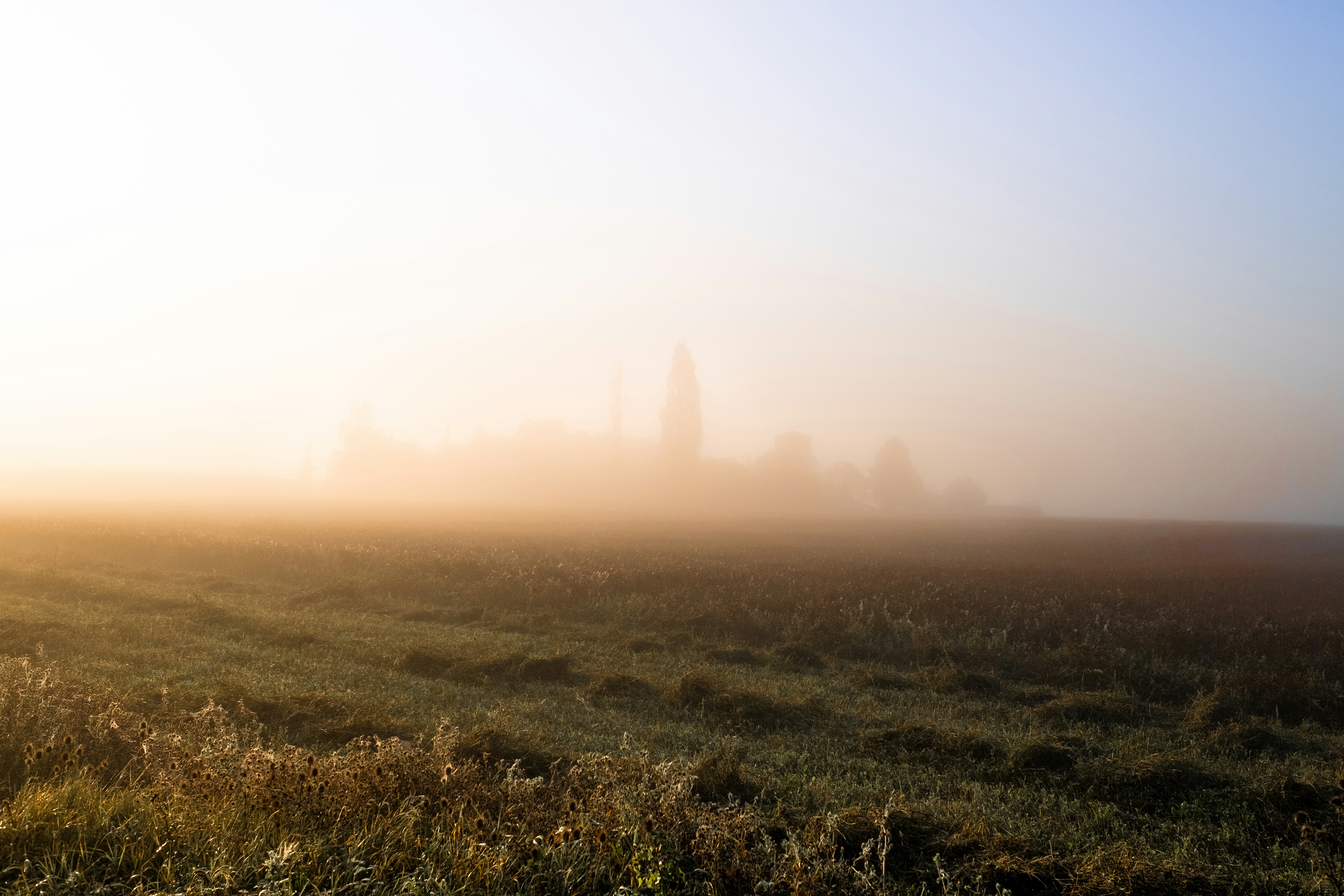 A foggy field with tall buildings in the distance photo – Free France ...