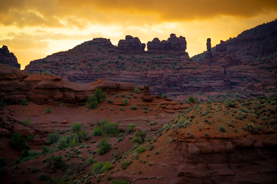 Desert canyon landscape at sunset with layered red rock formations and scattered vegetation, silhouettes of mesas against a golden sky.