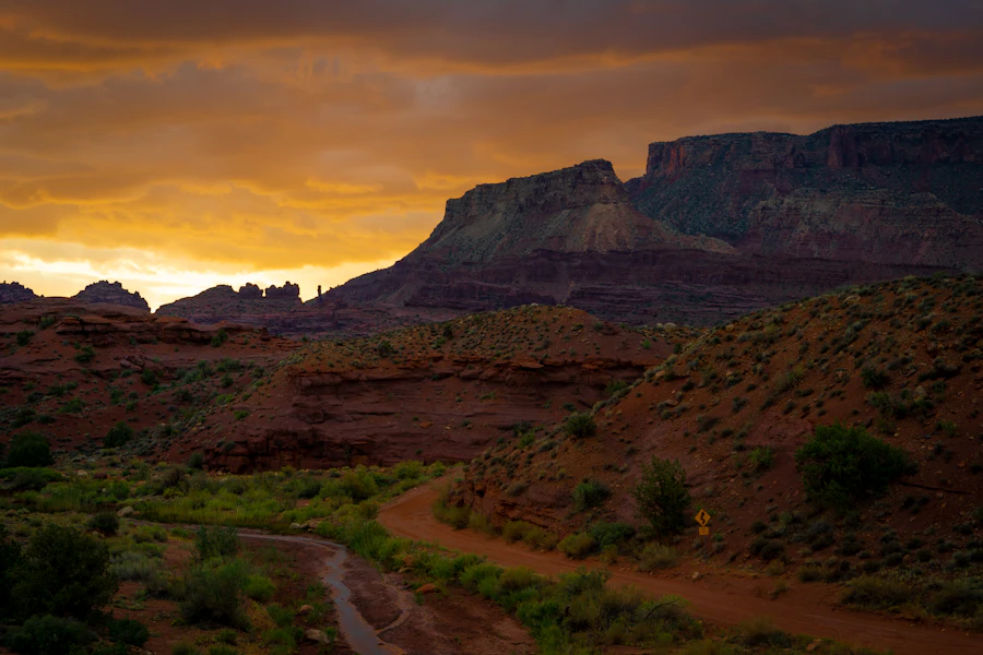 Desert canyon landscape at sunset with a winding dirt road through scrub toward rugged mesas on the horizon.