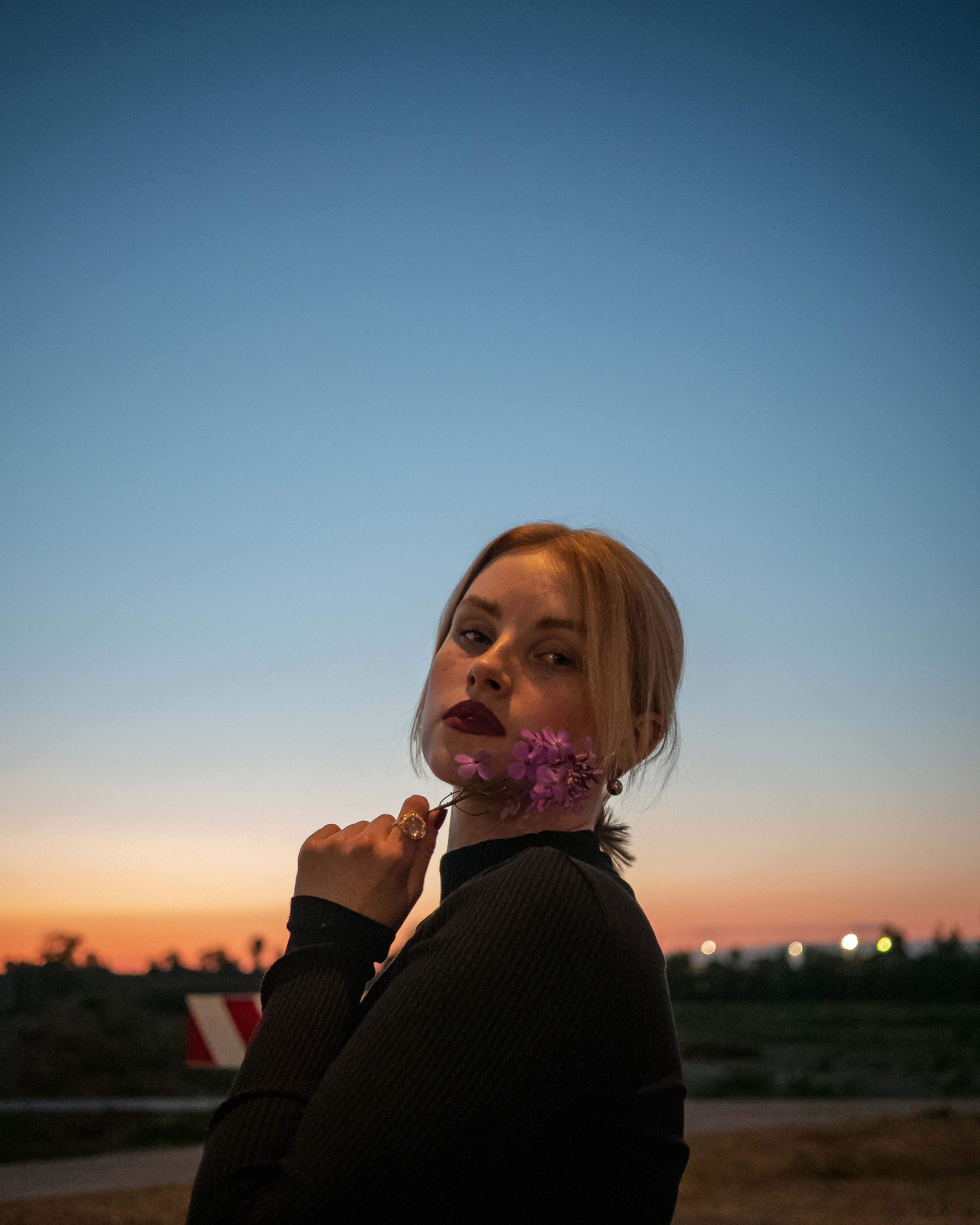 Violet Bloom at Dusk: A Quiet Portrait Against the Gradient Sky