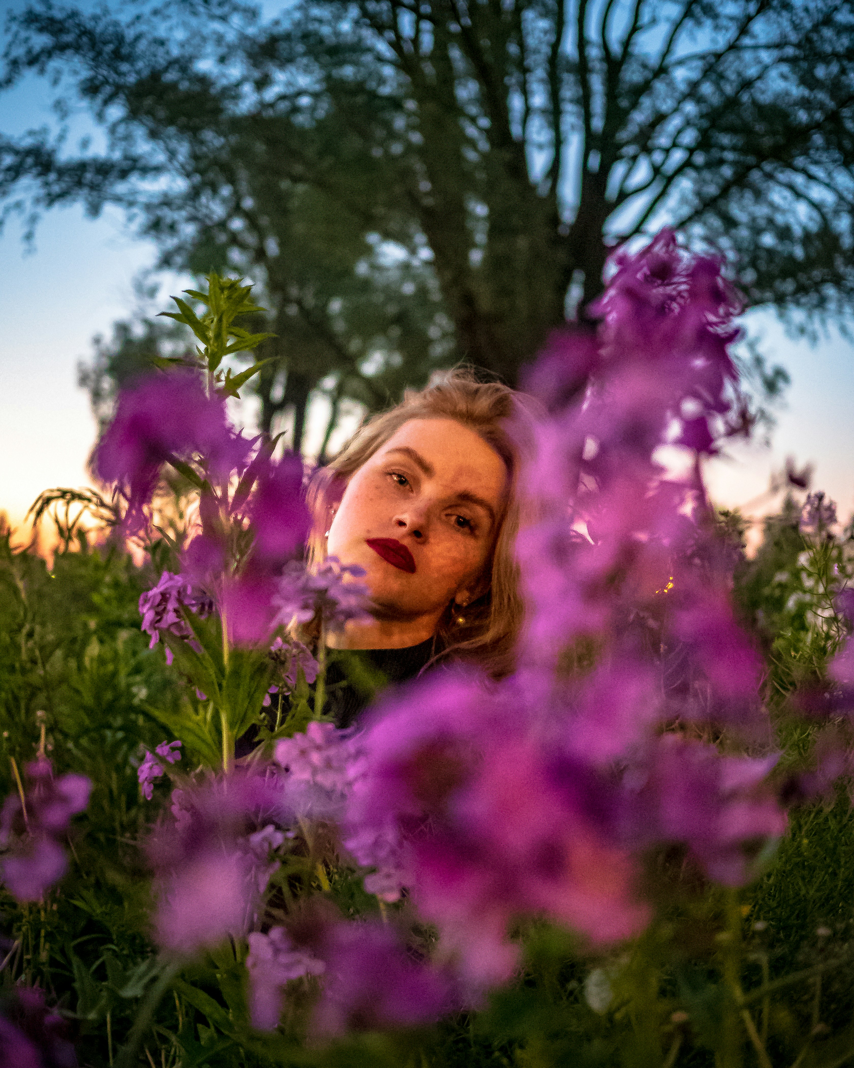 Between Violet Blooms: A Sunset Portrait in the Garden