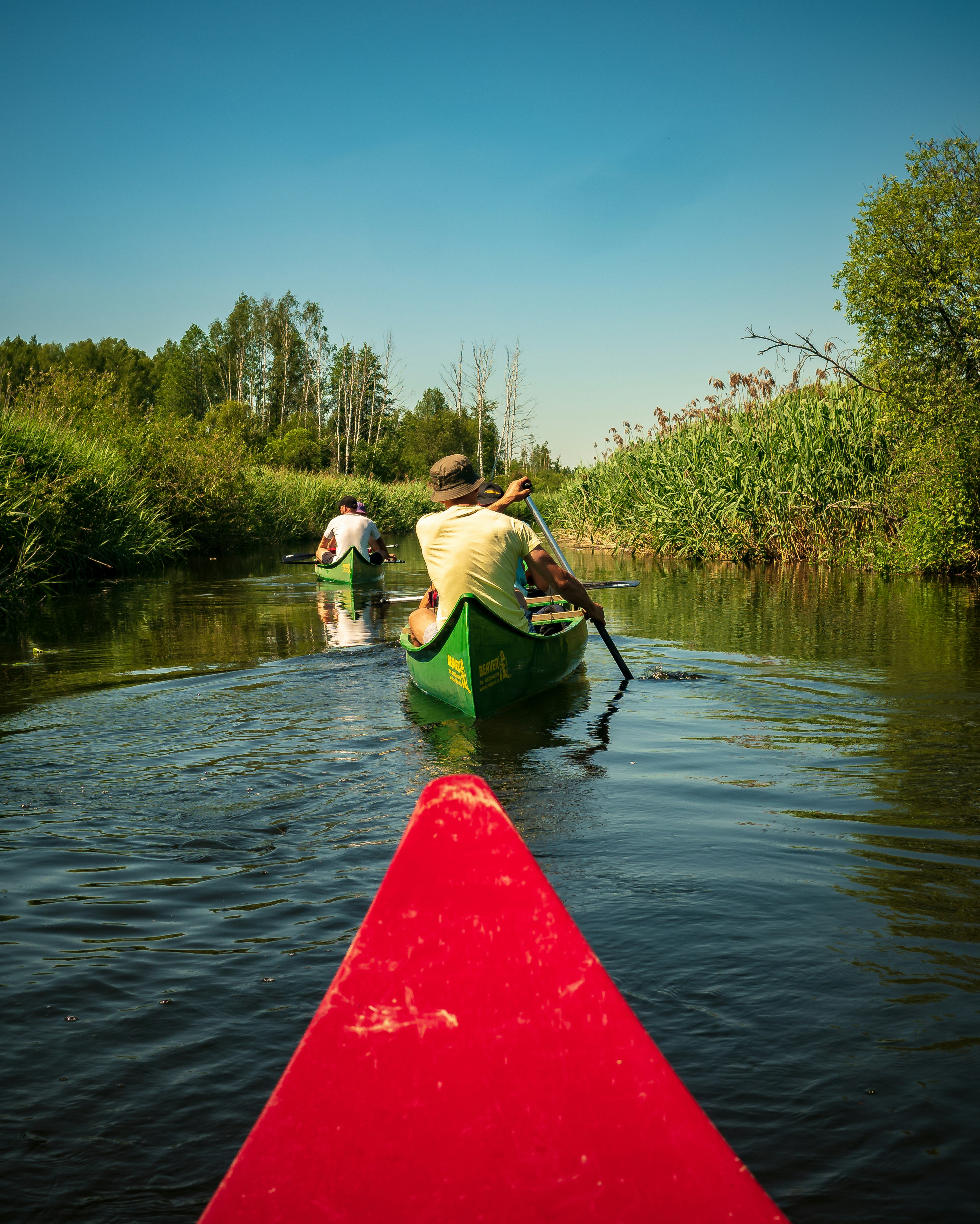 Two people in a canoe paddling down a river photo – Free Boat Image on Unsplash