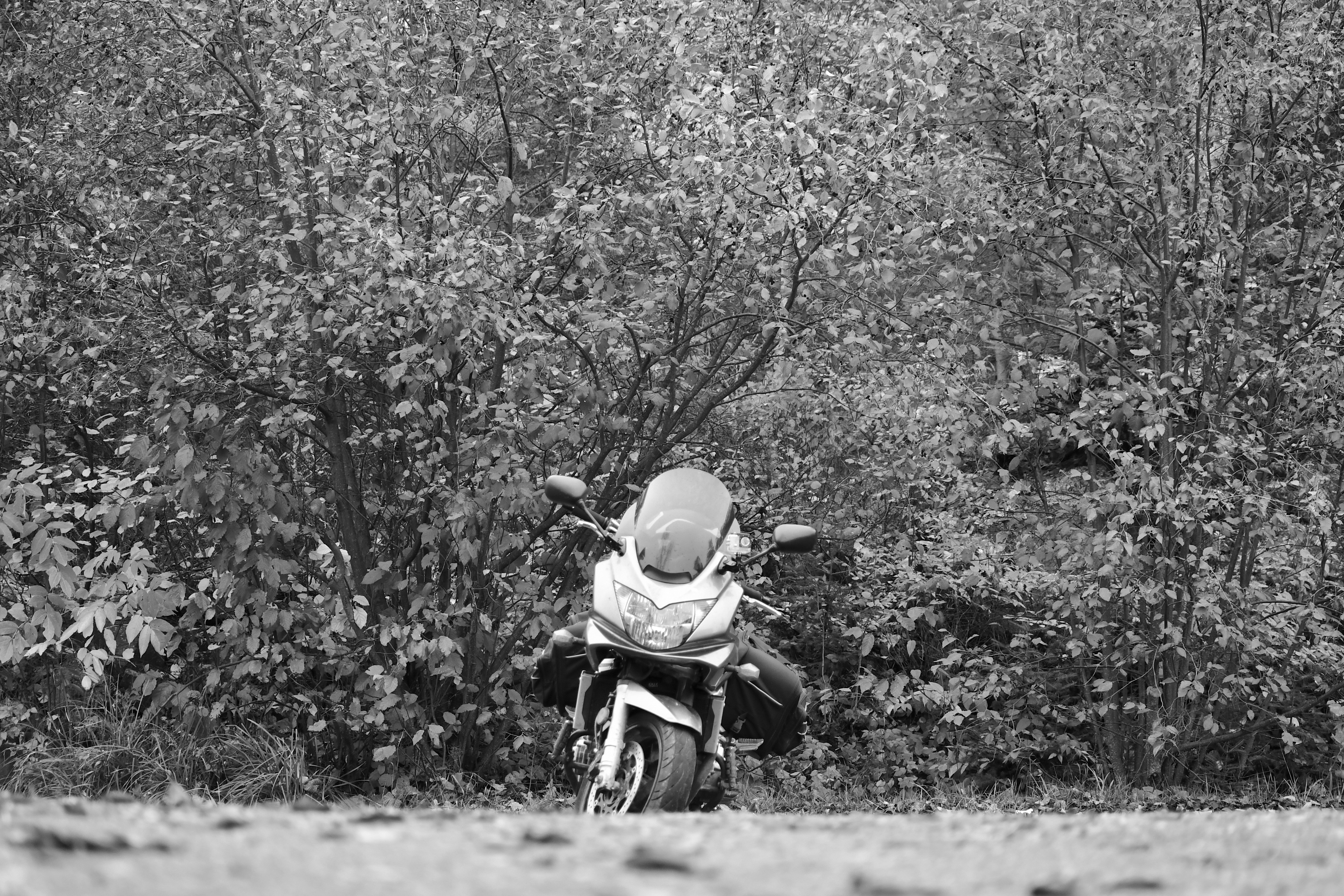 15 Quietest Motorcycle Helmets of 2025: Ride in Whisper-Quiet Comfort 🏍 ...