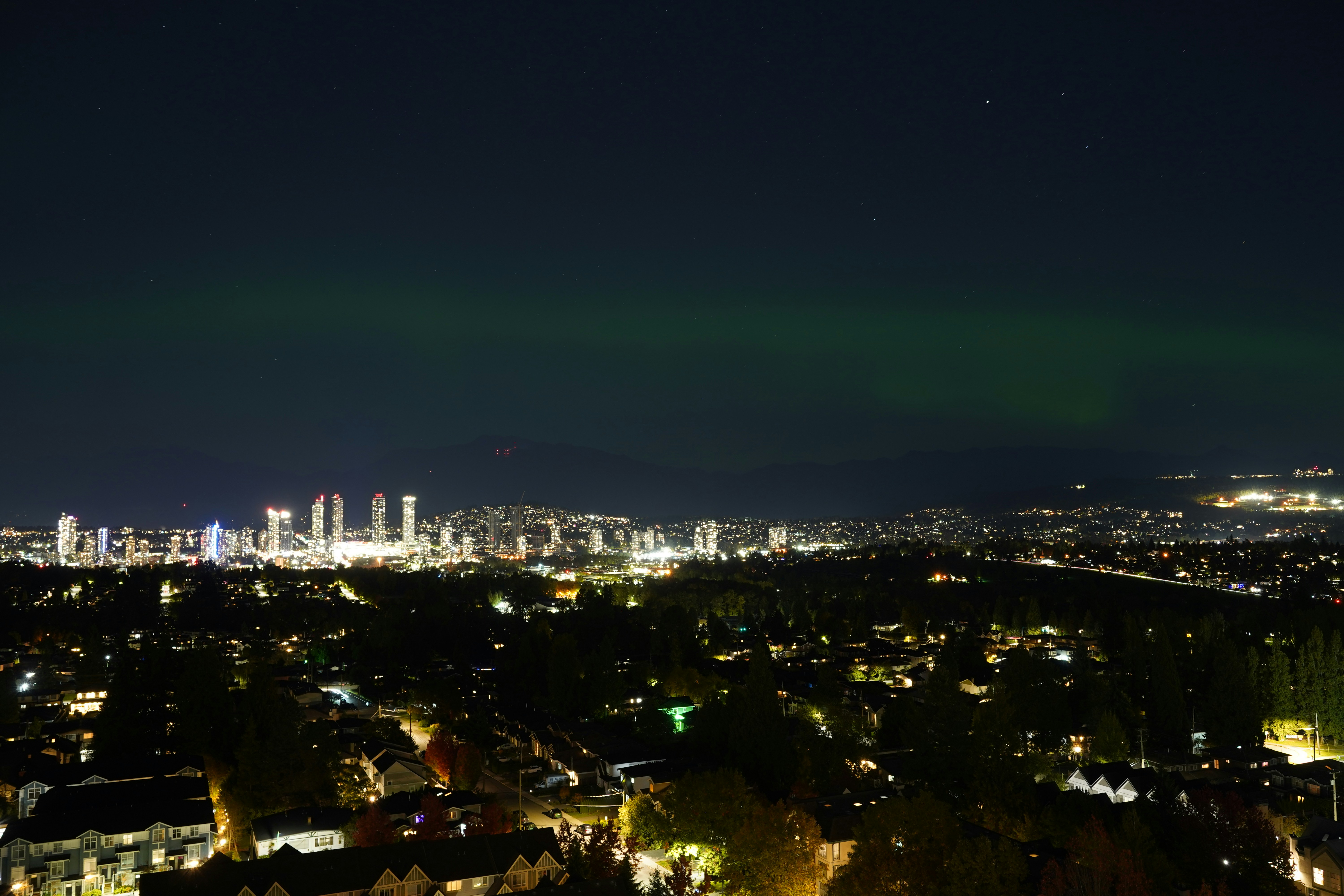 Night City Glow Beneath the Green Veil