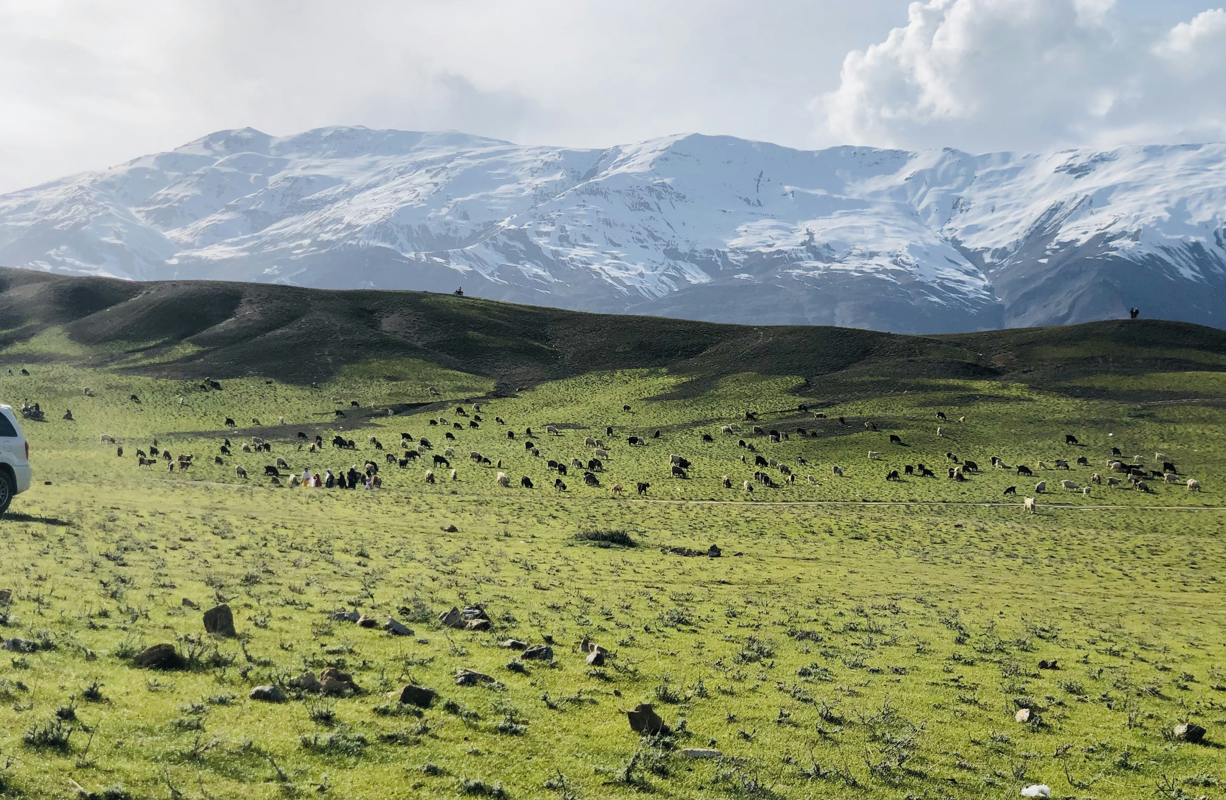 Nature | 3 best free nature, wilderness, slope and scenery photos on ...
