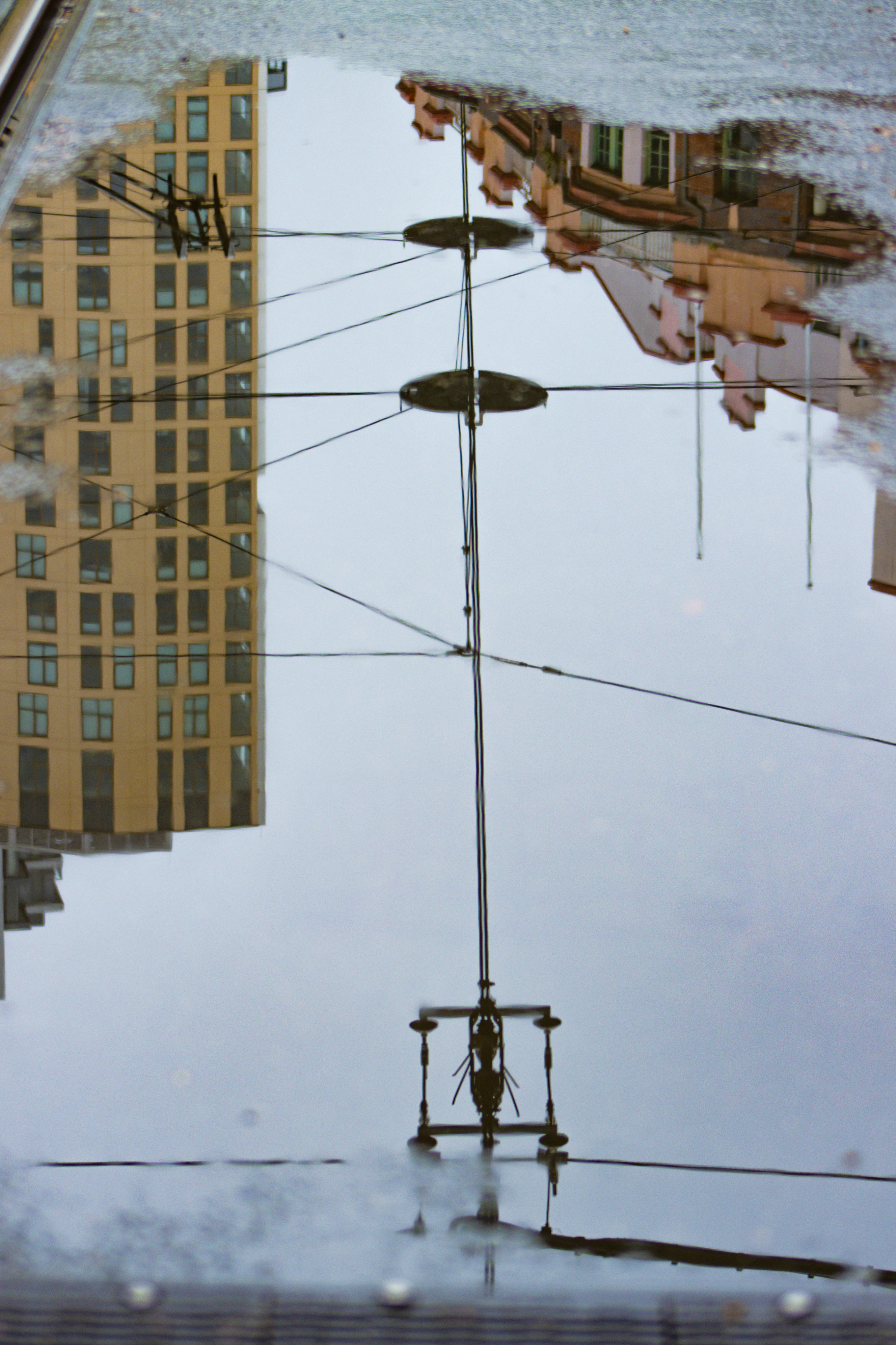 Centered Reflection: Lamp Post and Urban Lines in a Puddle