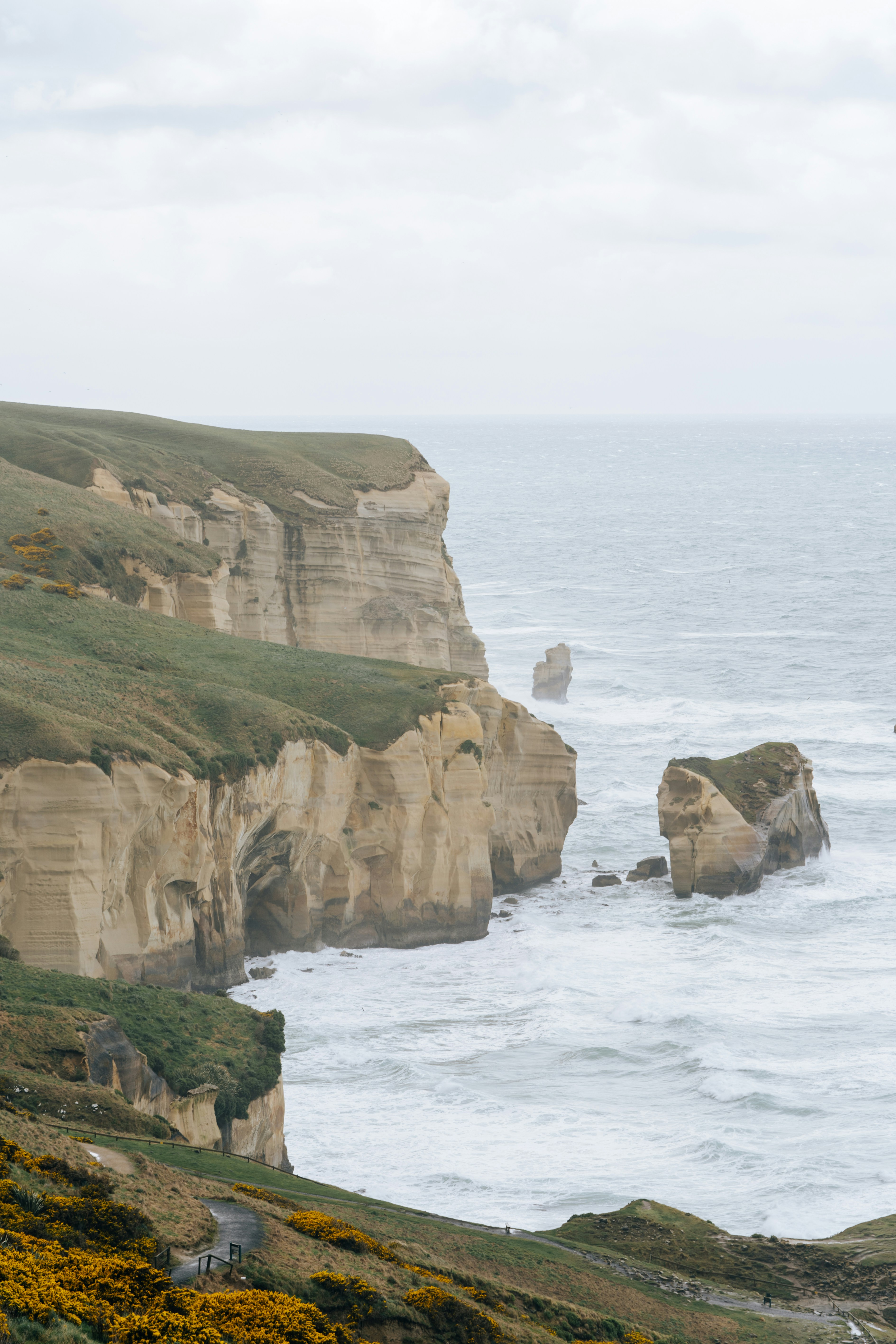 A view of the ocean from a cliff photo – Free Water Image on Unsplash