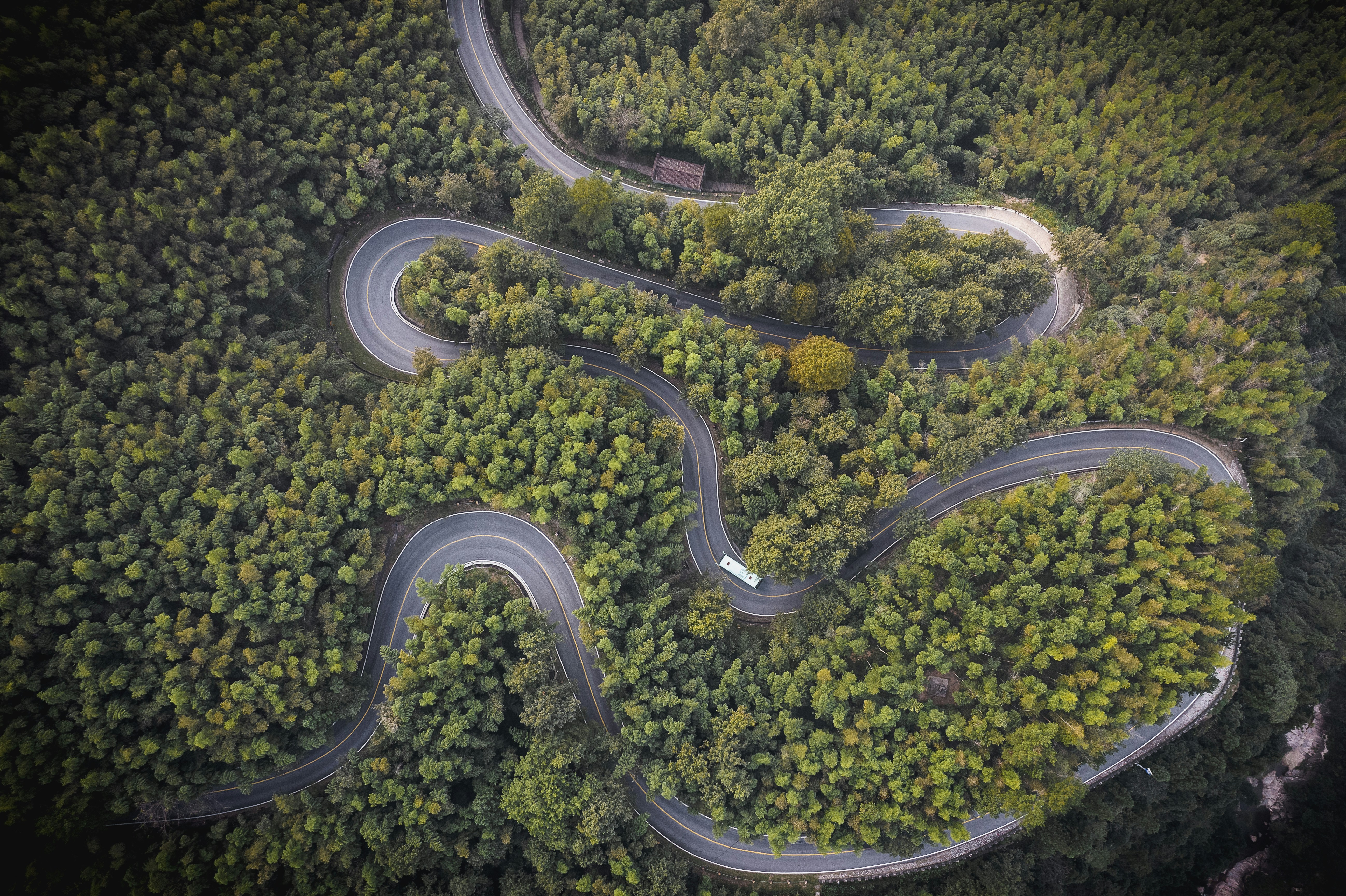 Aerial view of a winding road snaking through dense forest on Mount Jiuhua, Anhui Province, China.