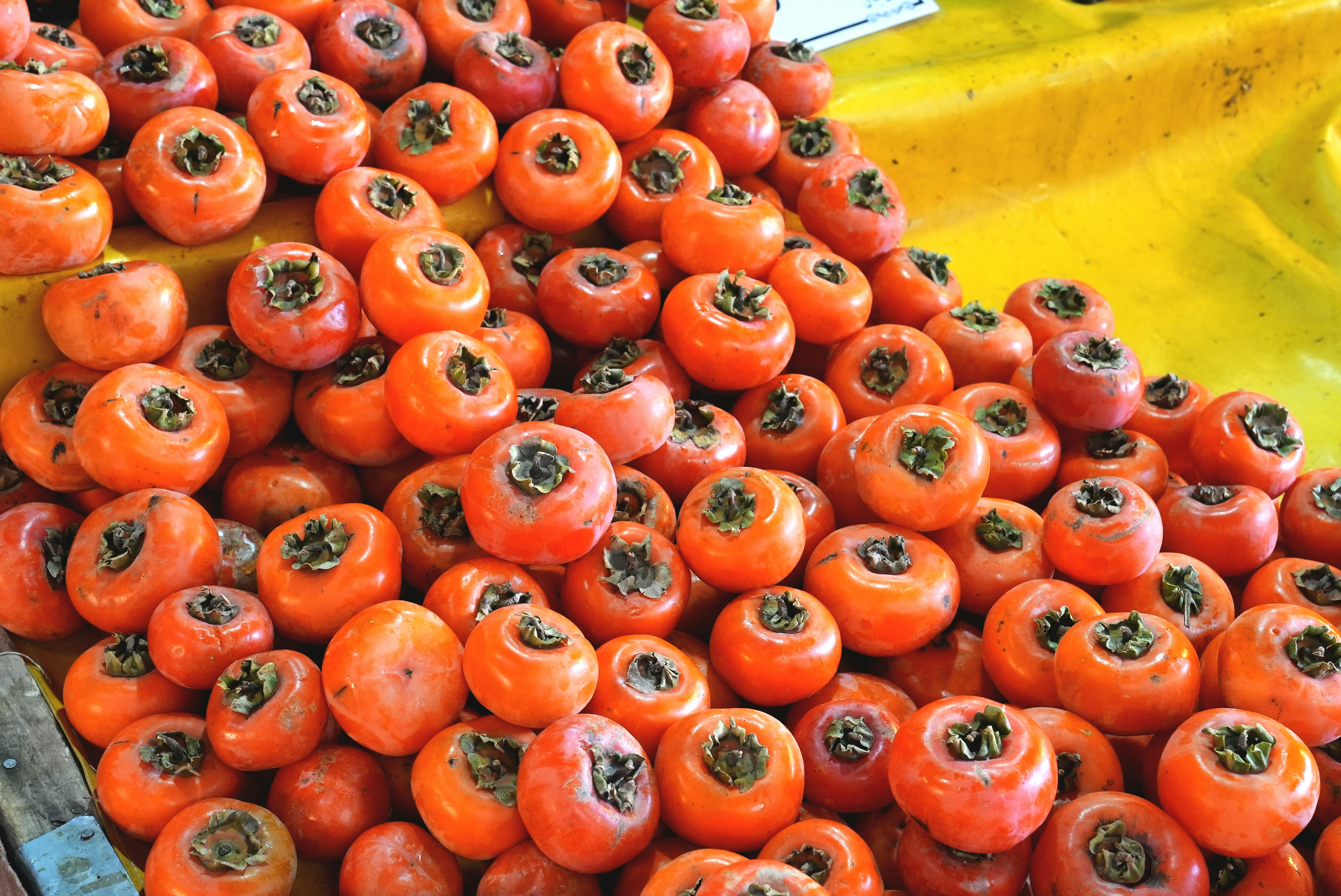 Close view of persimmons inside the tray 