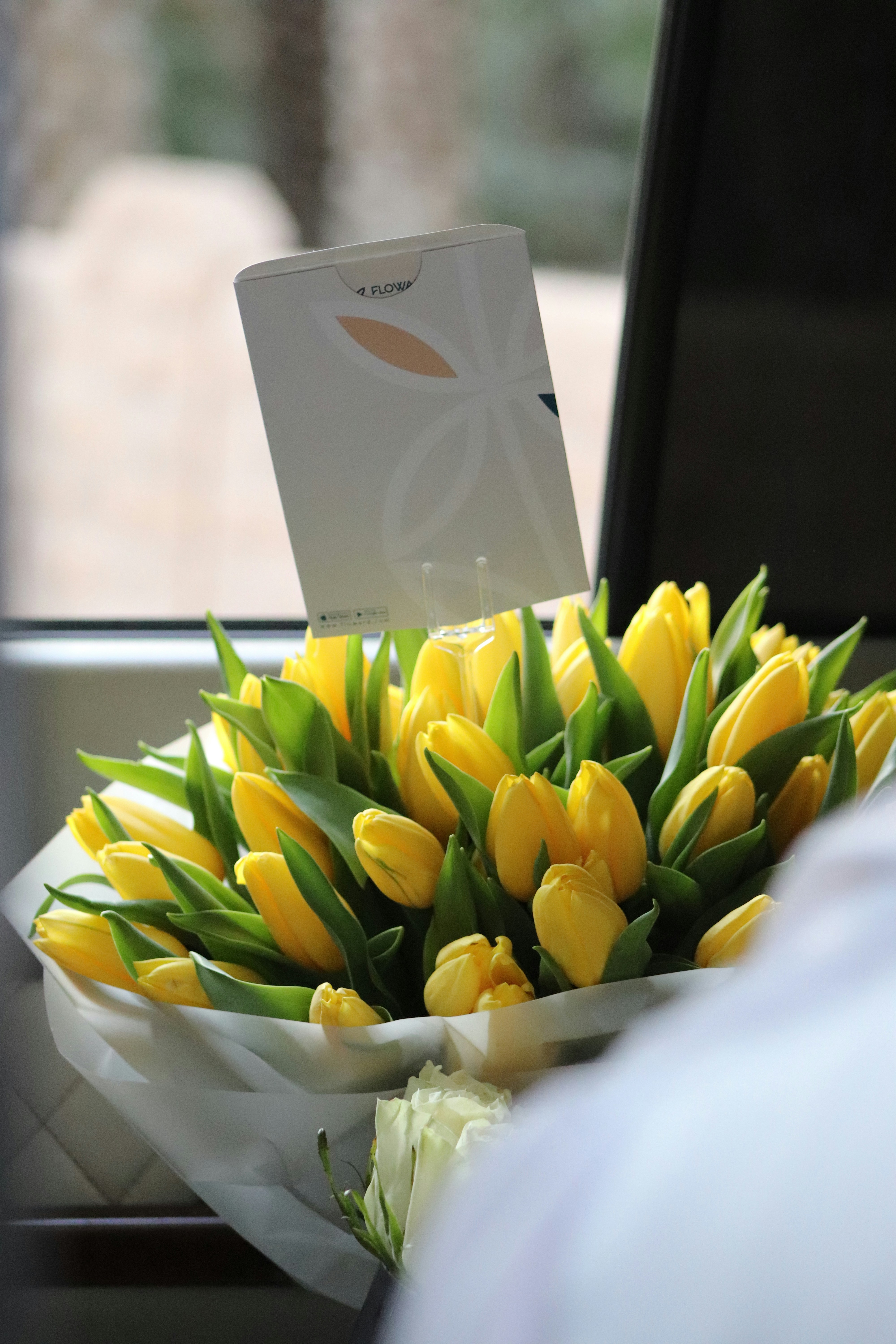 Sunlit Yellow Tulips gifting a quiet moment in a window’s glow