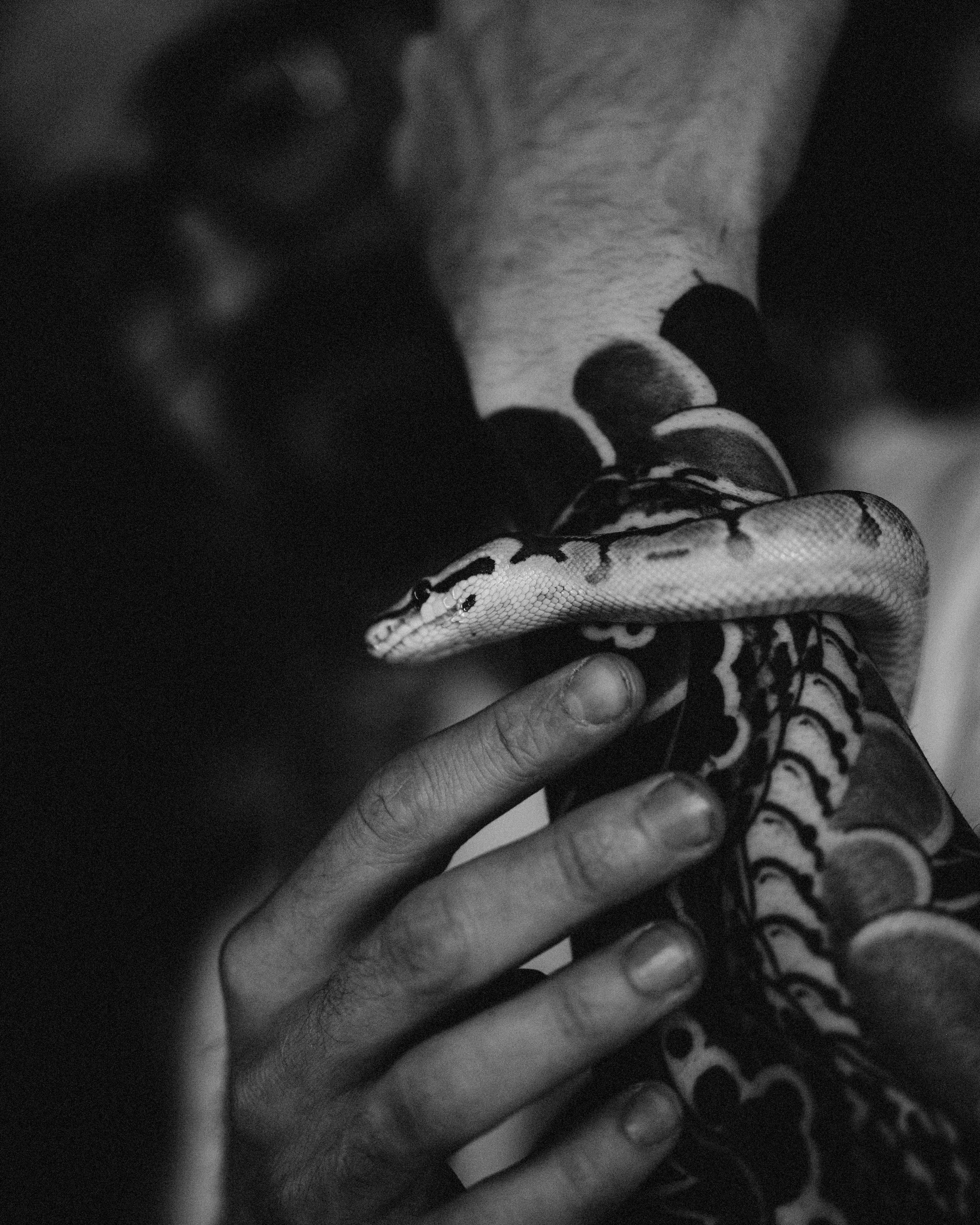 a black and white photo of a person holding a snake
