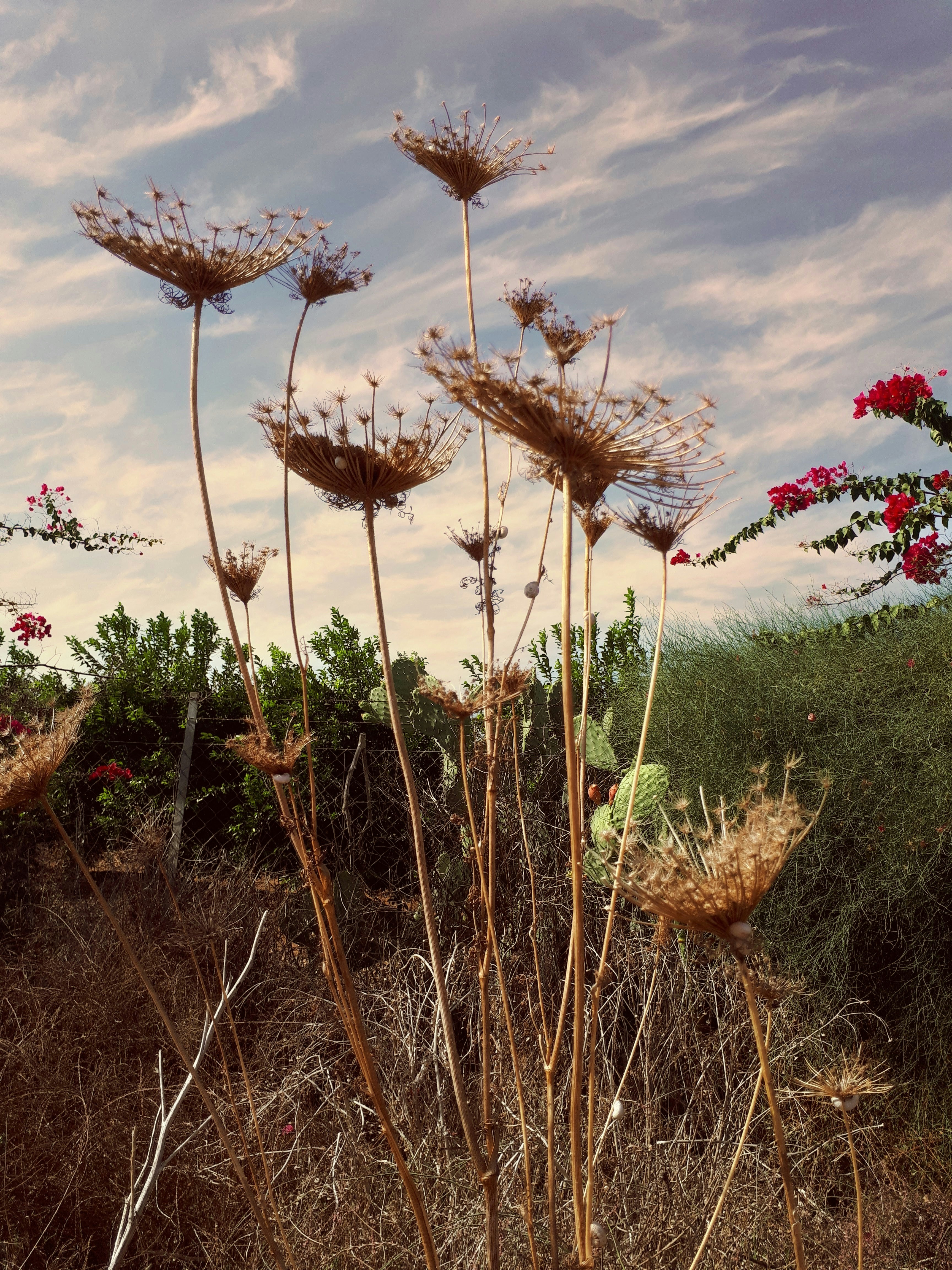 Renana, Daria Frank (@reanana22) | Unsplash Photo Community