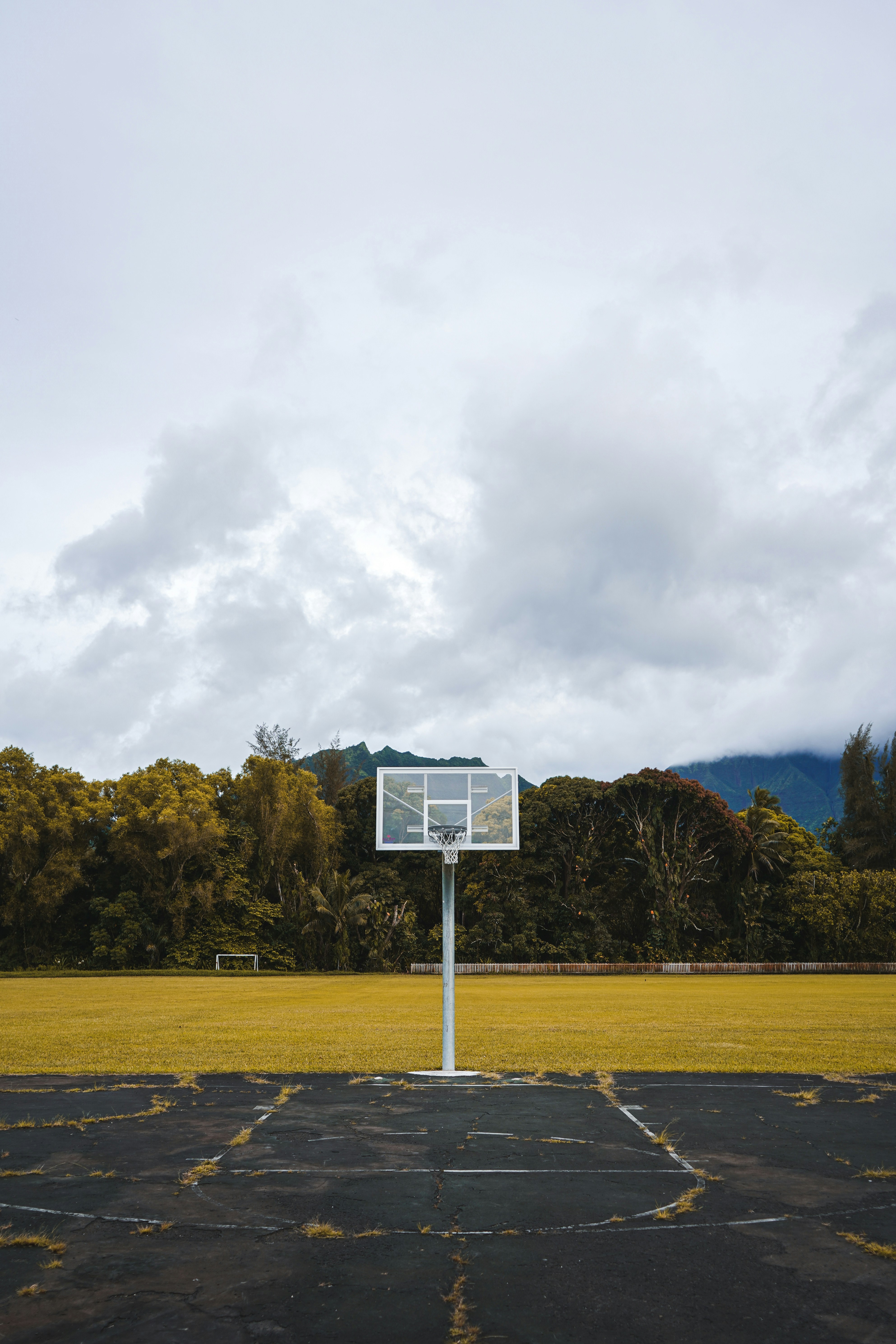 An empty basketball court framed by lush greenery and dramatic clouds, inviting contemplation and solitude.