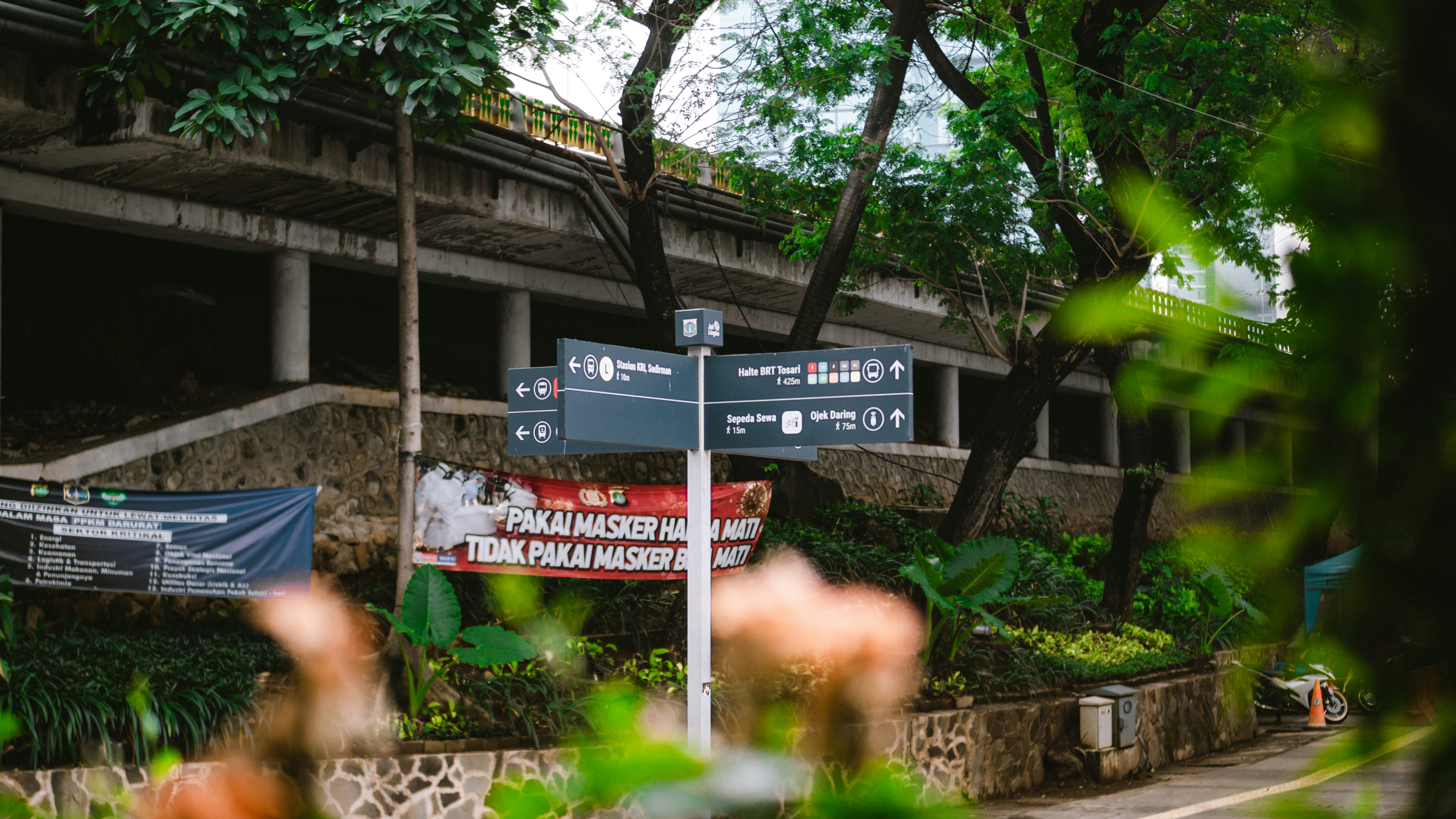 Signposts amidst lush greenery and a building facade in the background.