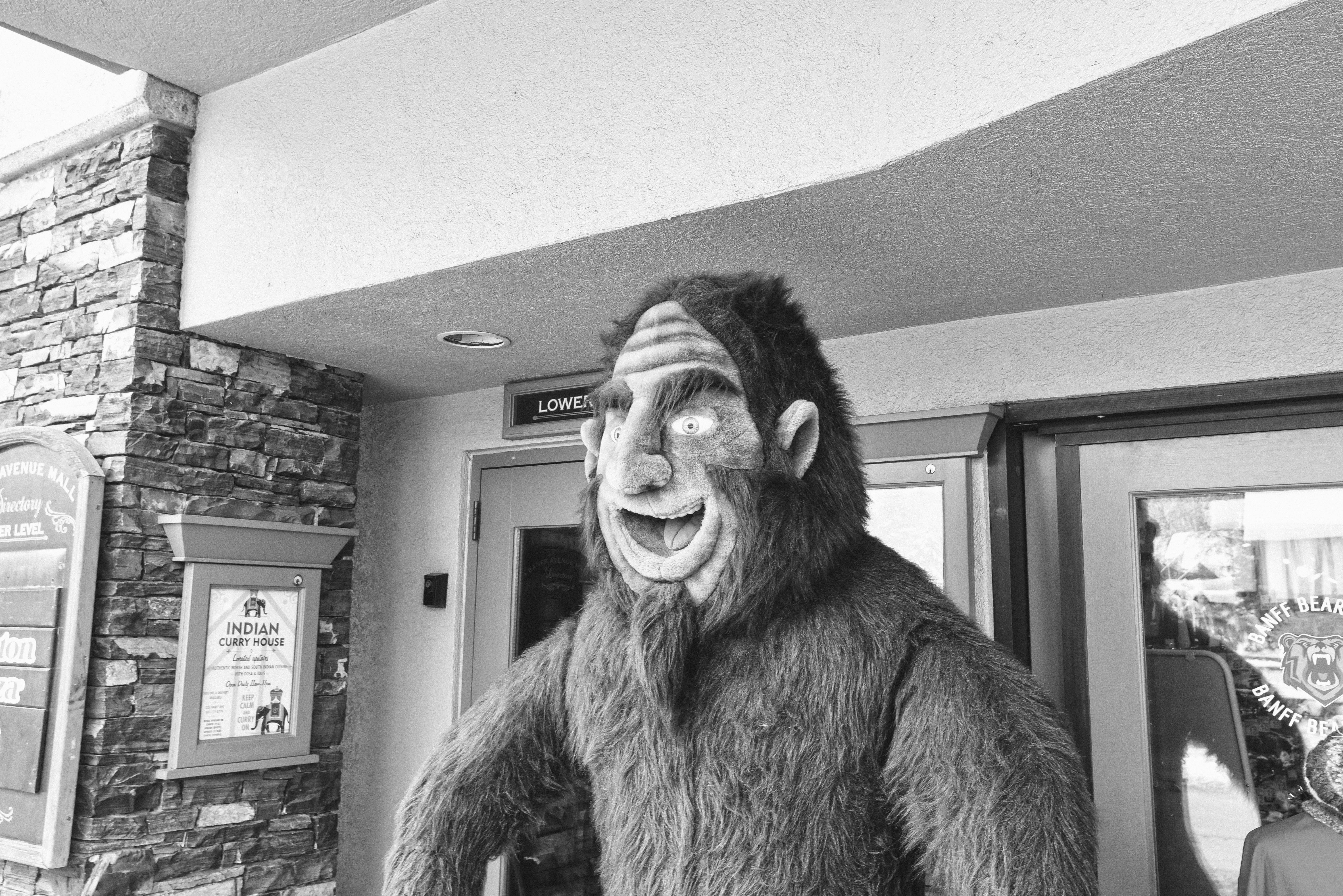 Laughter at the Plaza: Bigfoot in a Sunlit Entrance