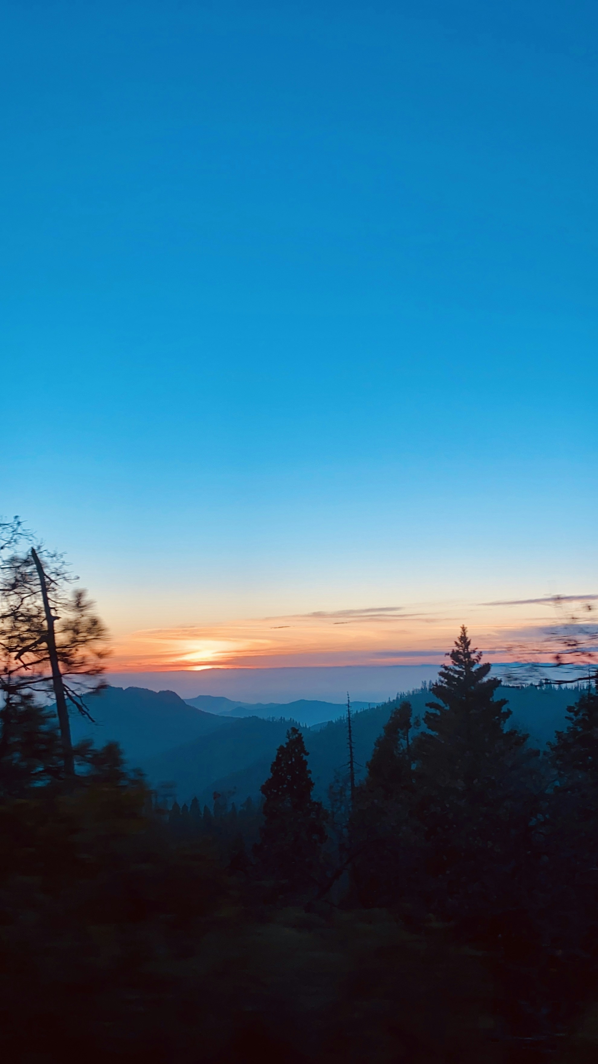 The sun is setting over the mountains and trees photo – Free Plant ...