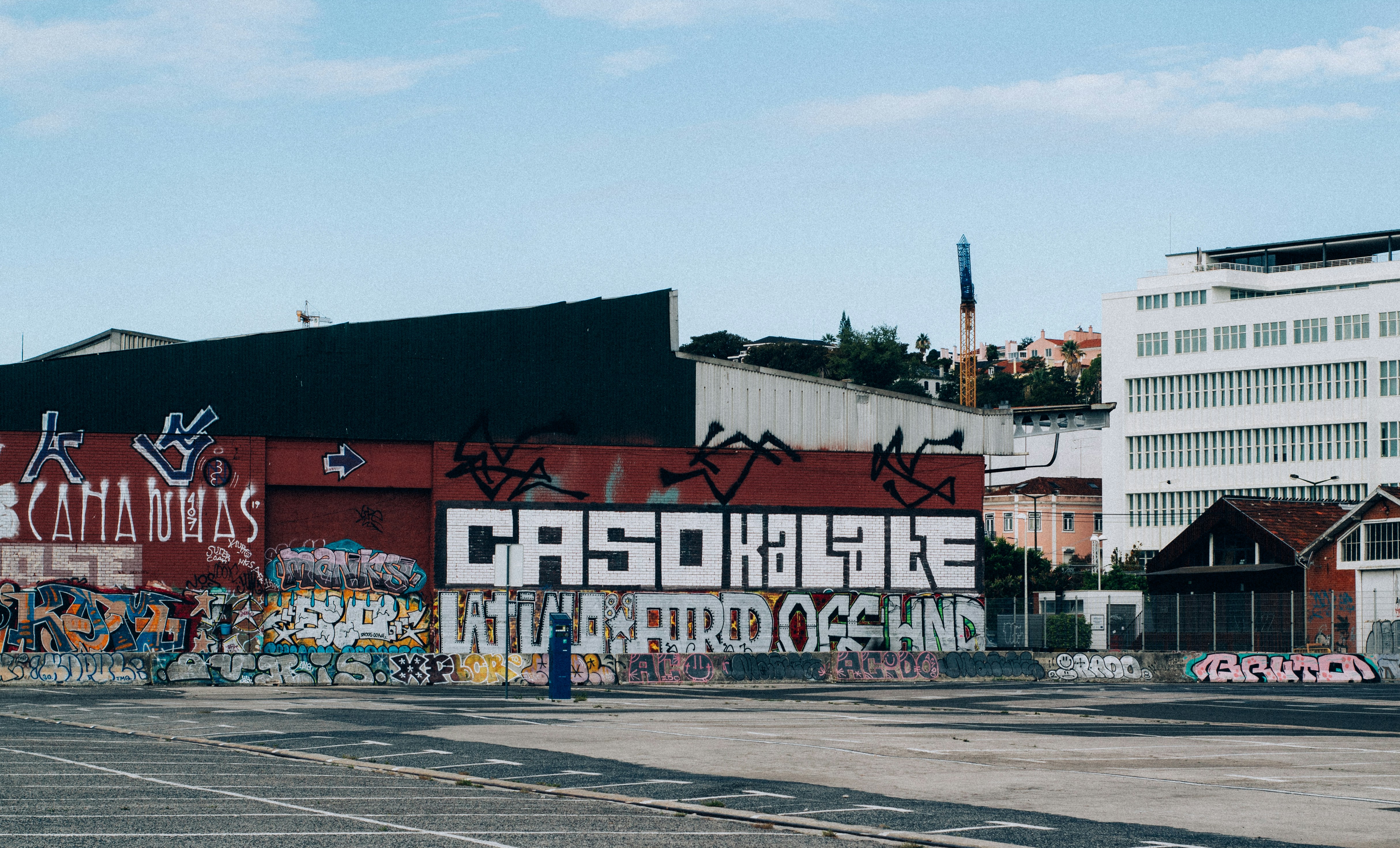 Bold White Letters Dominate an Abandoned-Lot Graffiti Wall