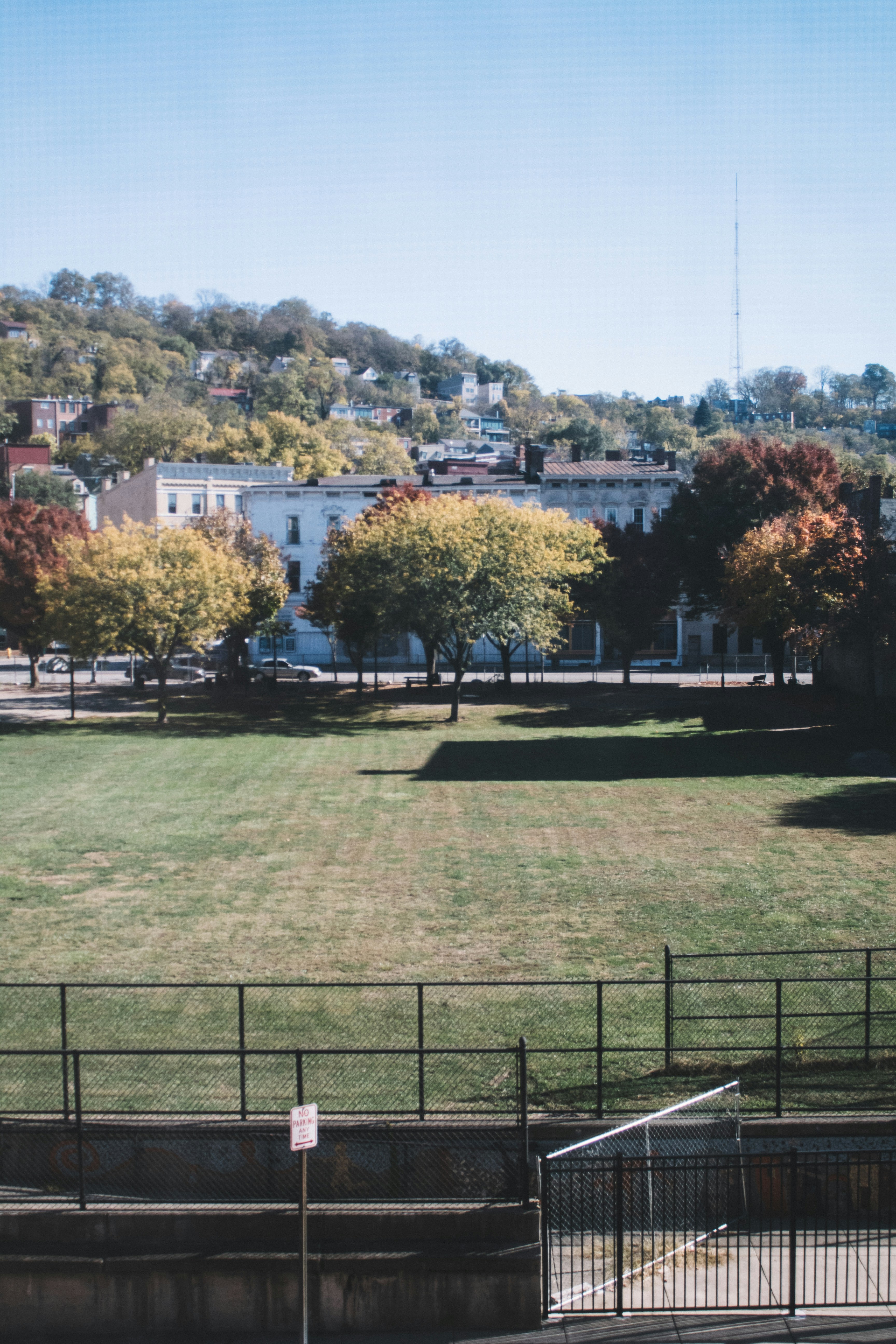 Vibrant autumn trees line a city park, contrasting with nearby buildings under a clear blue sky. The scene captures the harmony between nature and urban life.
