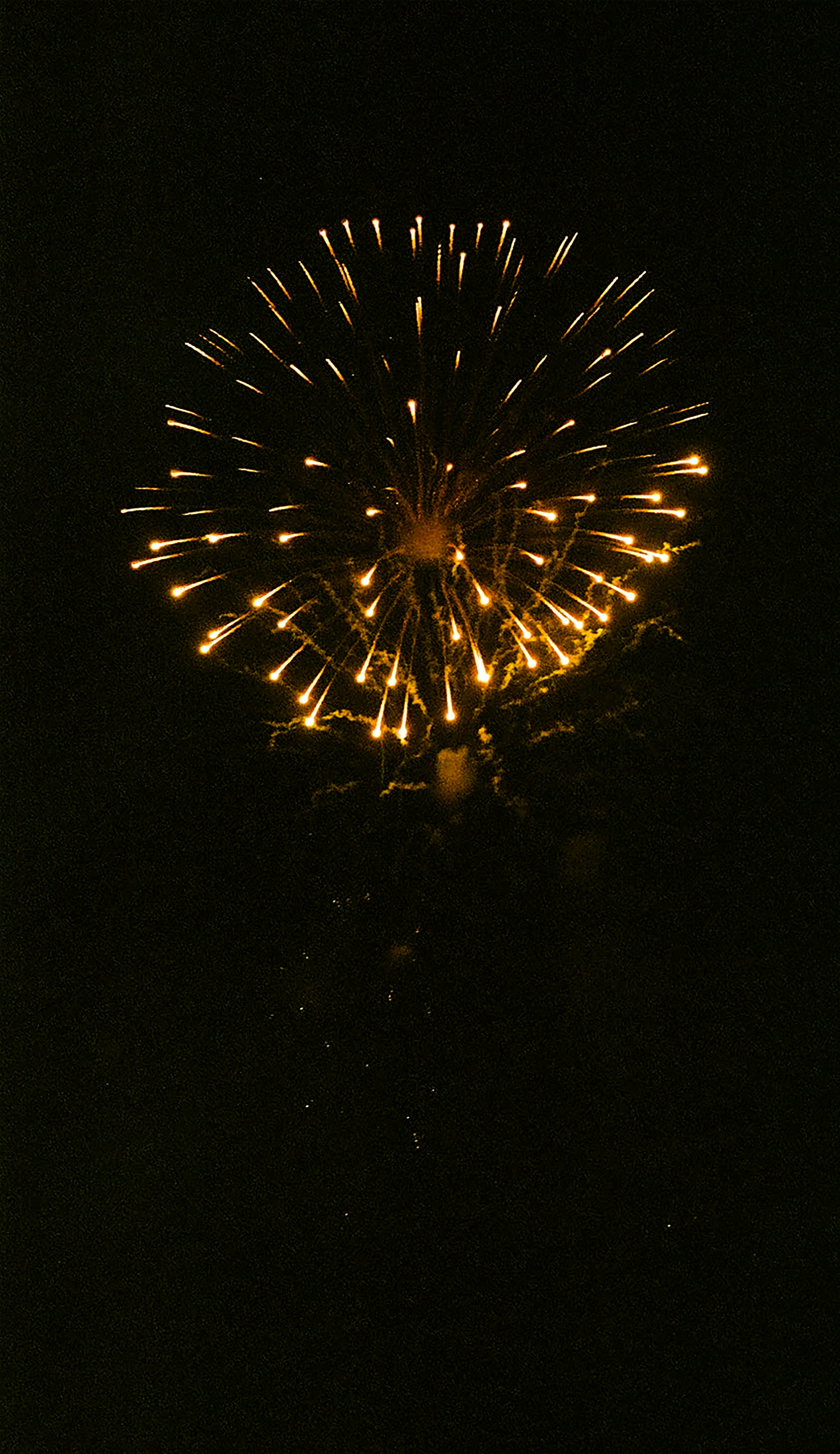 A firework is lit up in the night sky photo – Free Nature Image on Unsplash