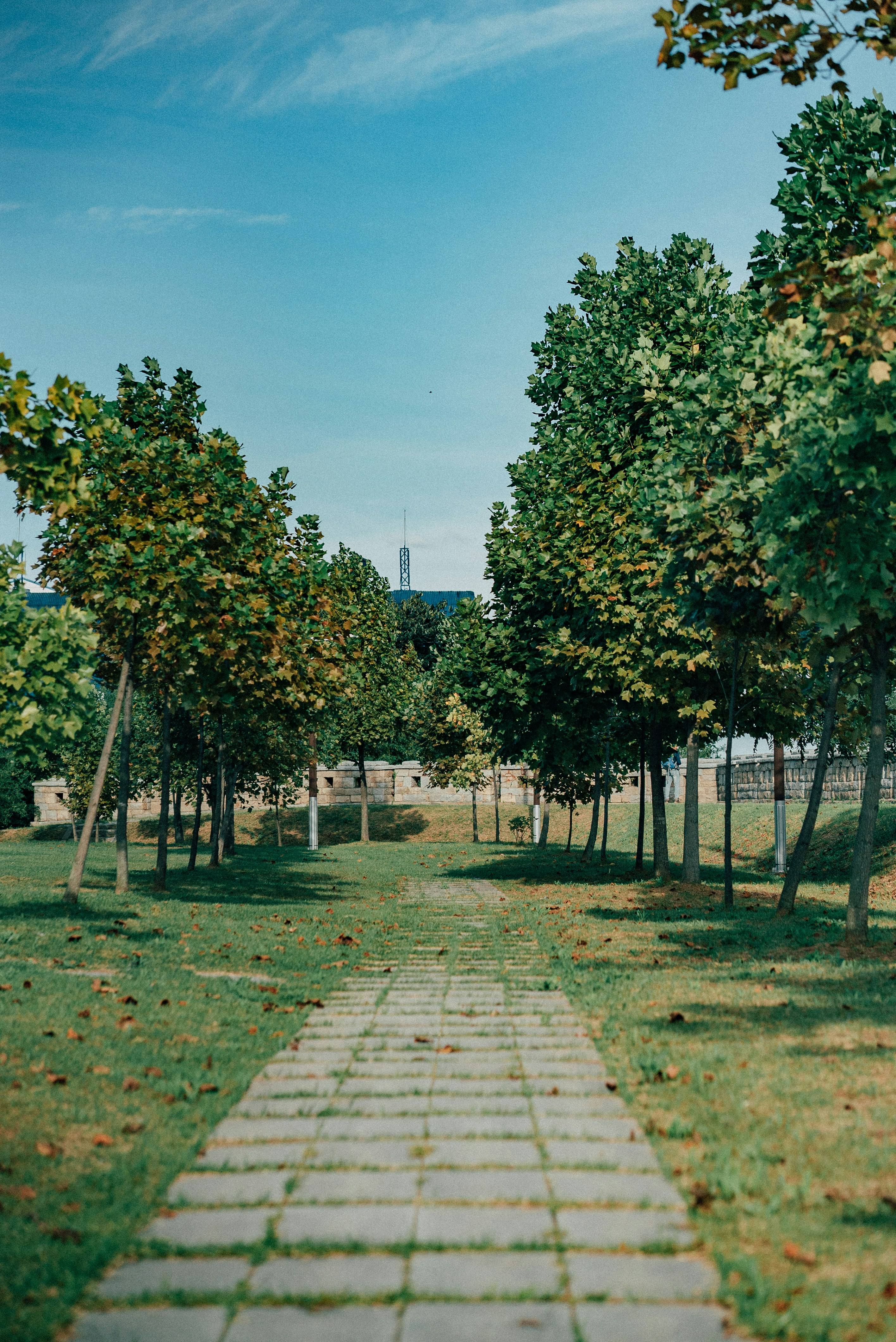 Imágenes de Caminos Rectos | Descarga imágenes gratuitas en Unsplash