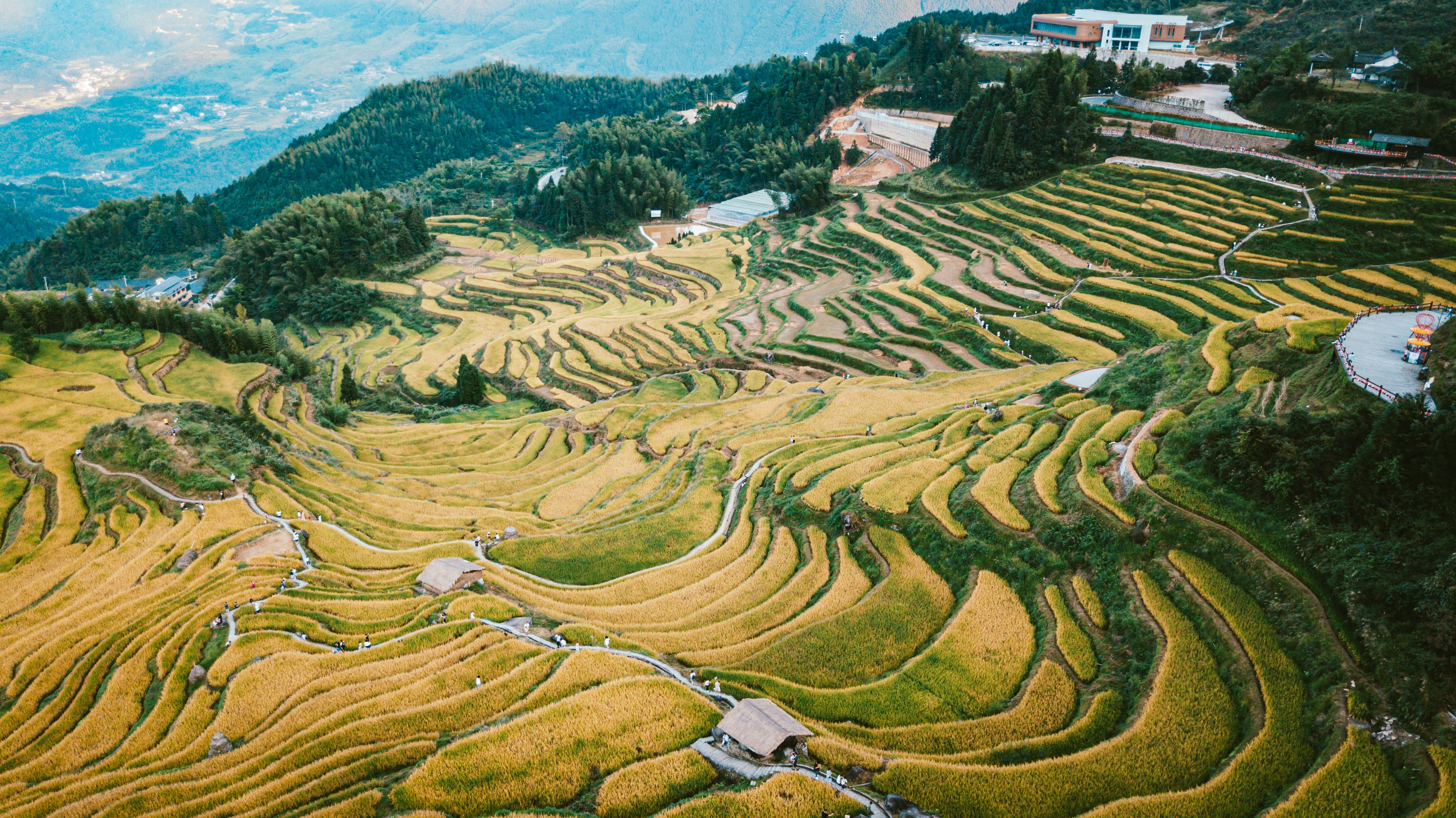 An aerial view of a rice field in china photo – Free Outdoors Image on ...