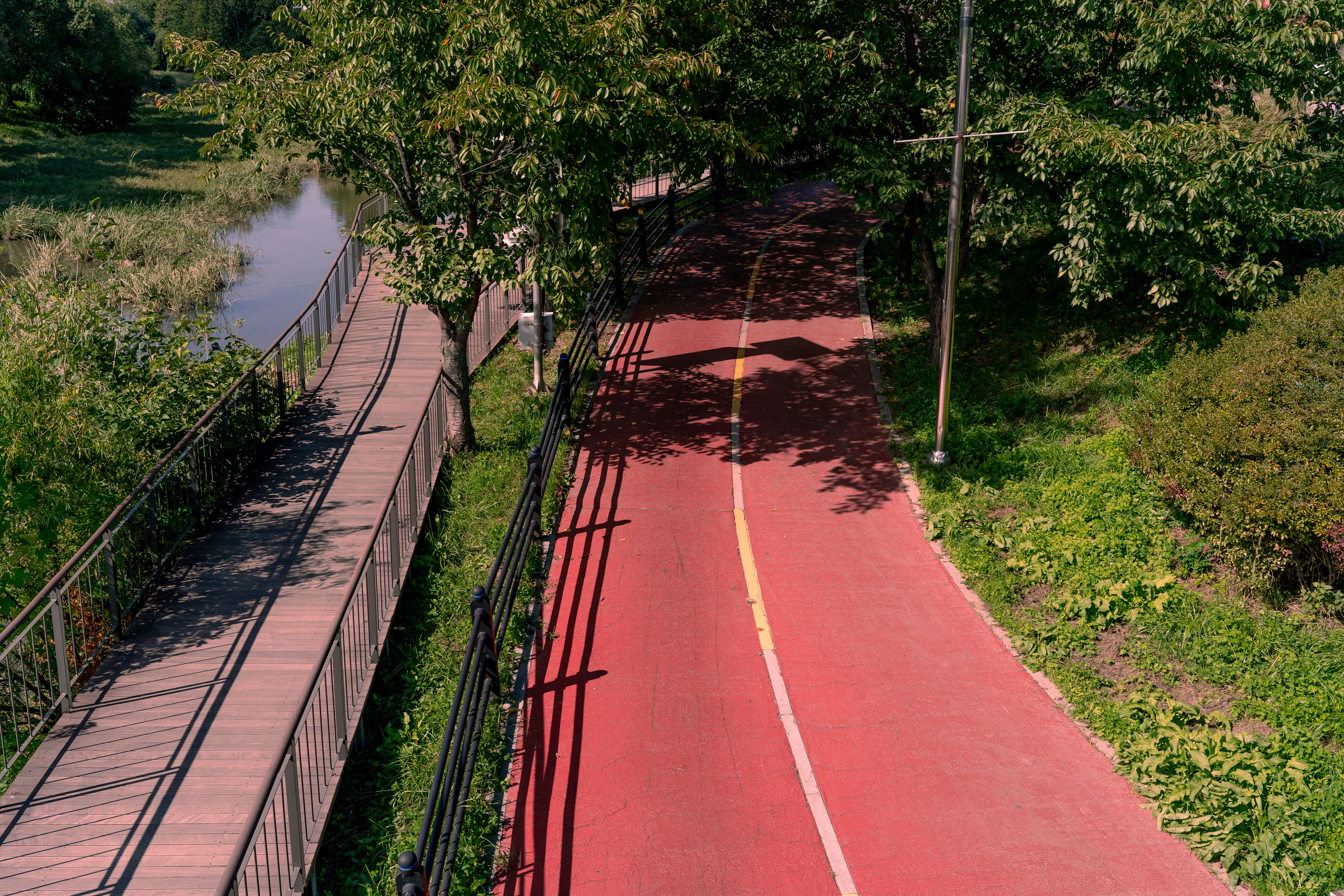 A man riding a skateboard down a red ramp photo – Free Park Image on ...