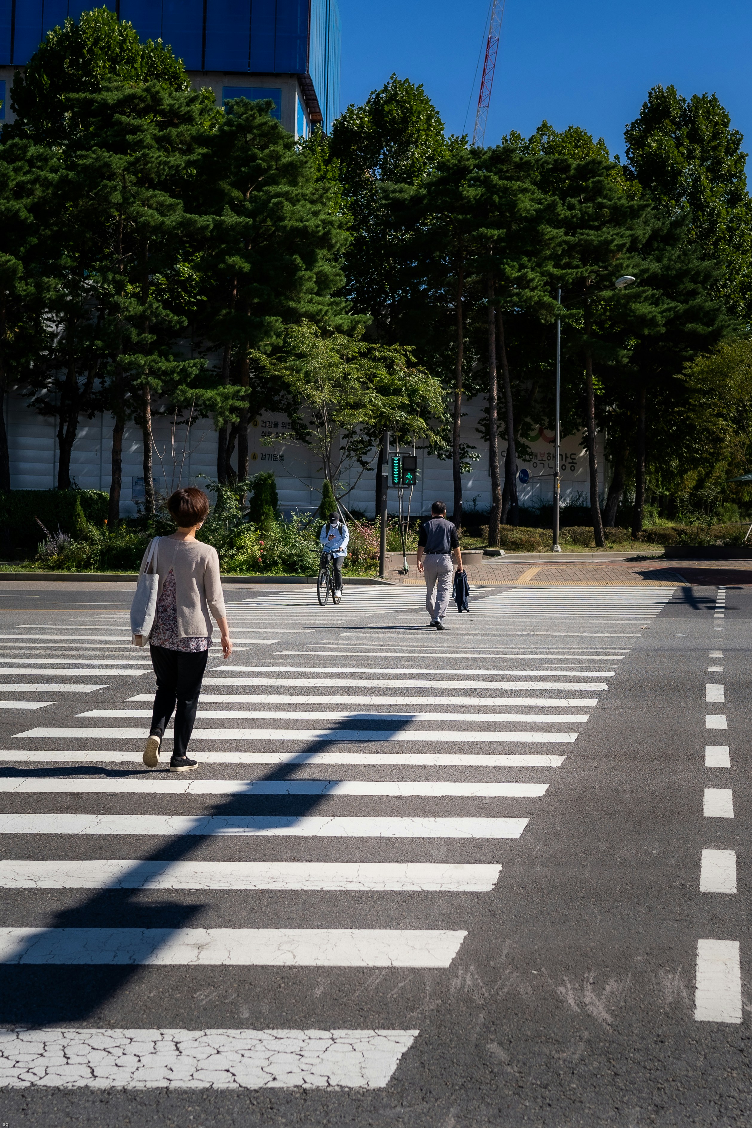 There are a worker, a mother and a student crossing the crosswalk.... | a woman walking across a cross walk in a city