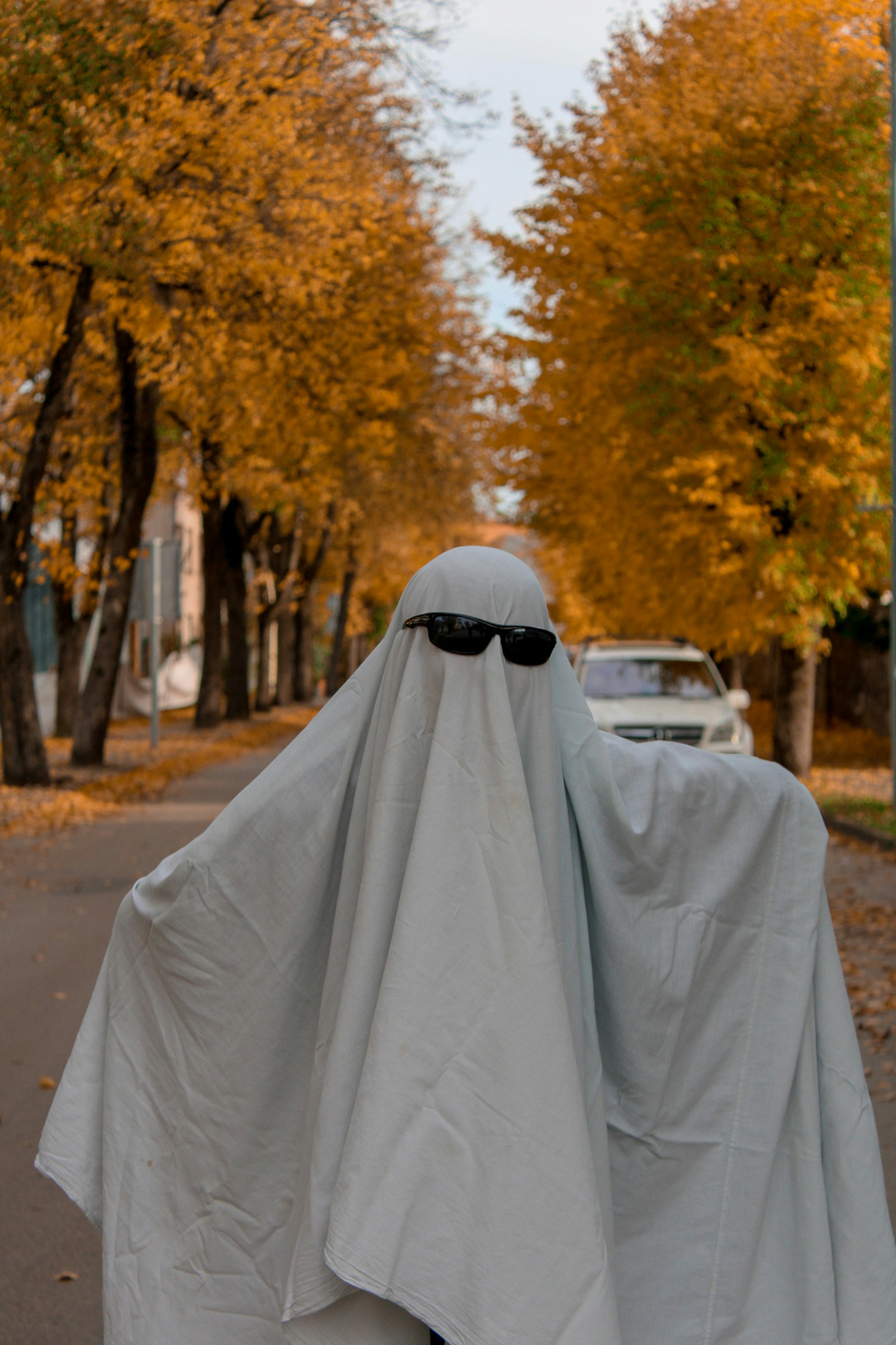 Ghost in a Linen Cloak on an Autumn Avenue