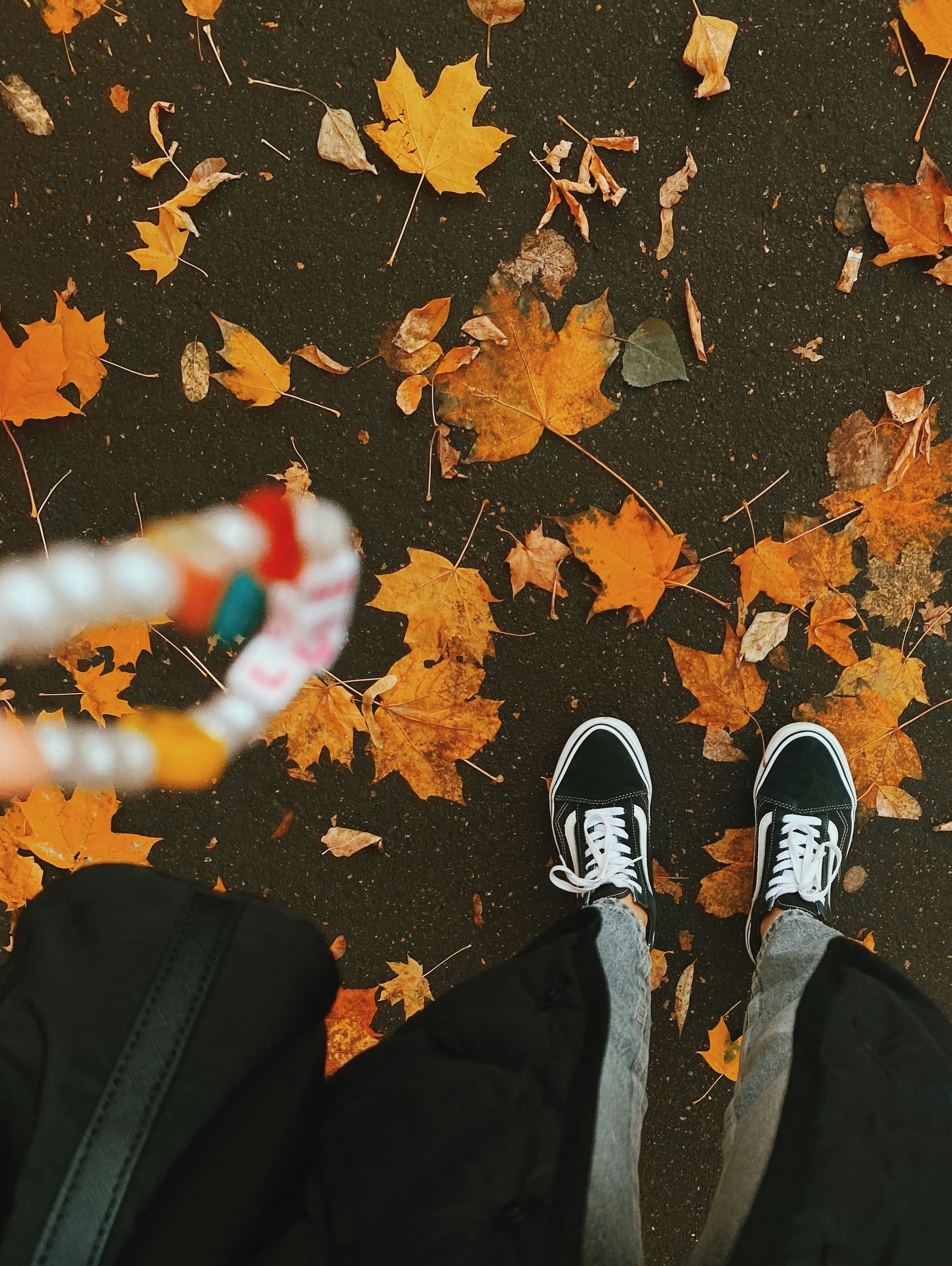Autumn Step: Sneakers on a Leaf-Littered Canvas