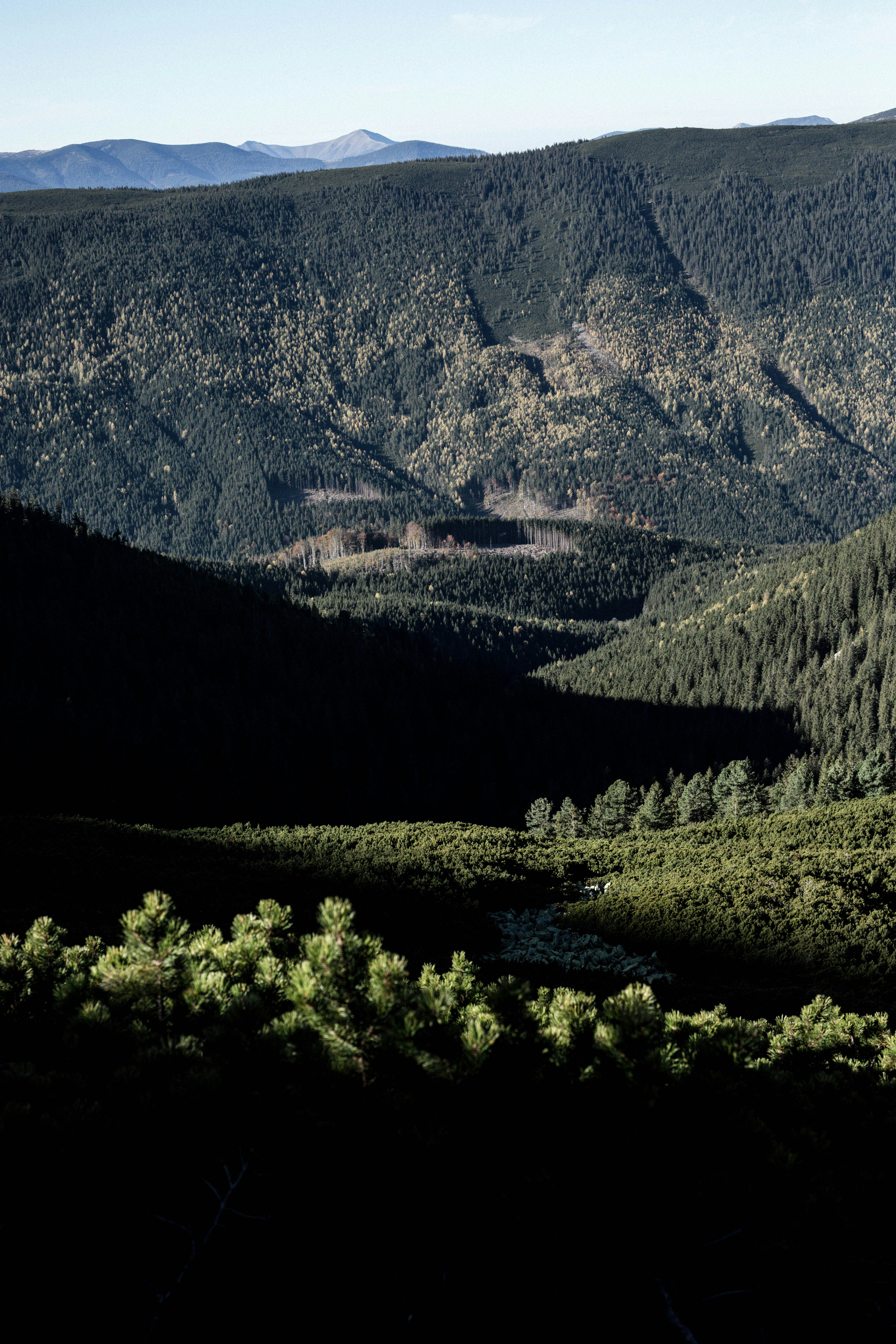 Lush green valleys nestled between towering mountains under a clear sky. The interplay of light and shadow creates a serene landscape.