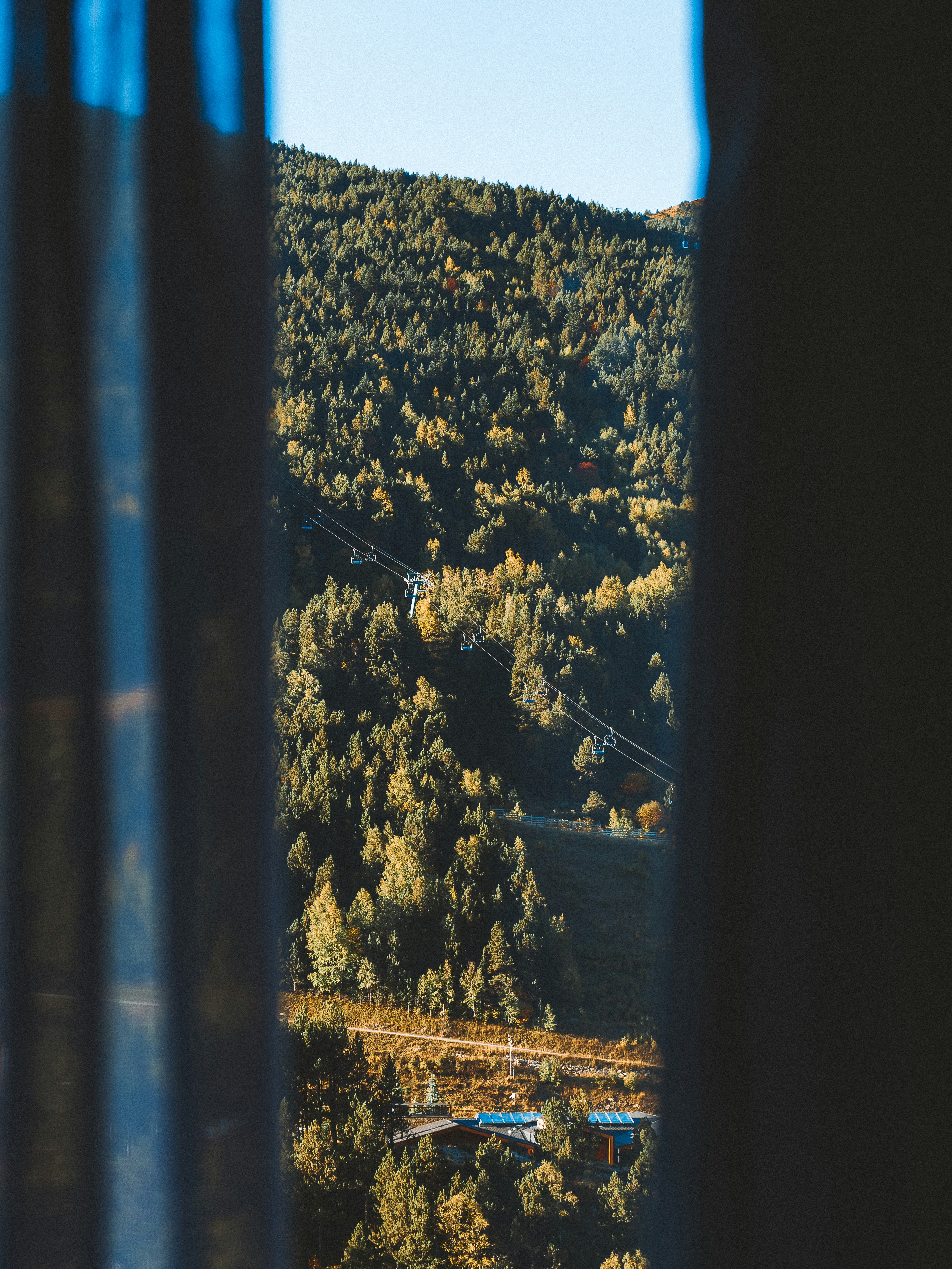 Between the Bars: Cable Cars Winding Through Alpine Pines