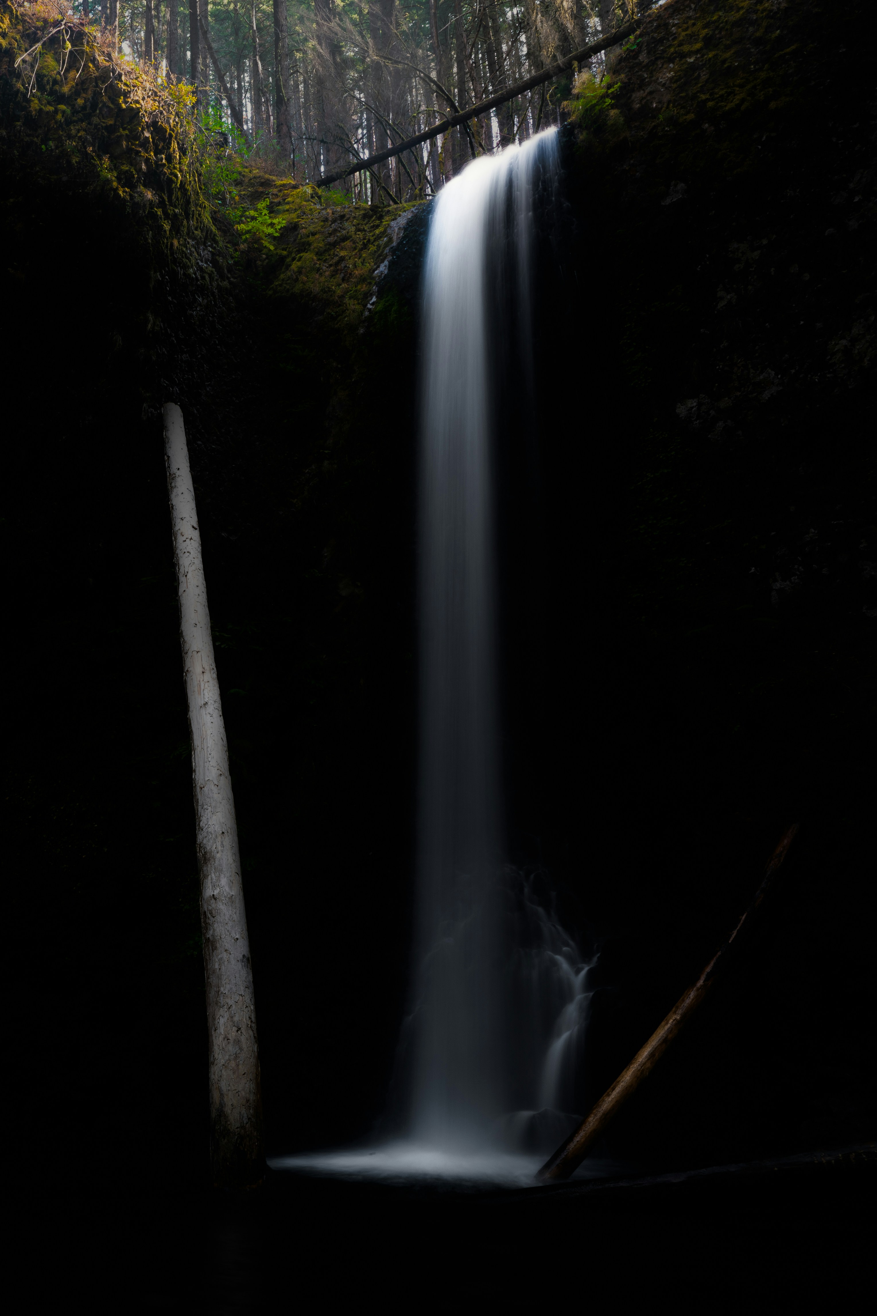 Gentle waterfall cascading into a dark pool, framed by towering trees and moss-covered rocks.