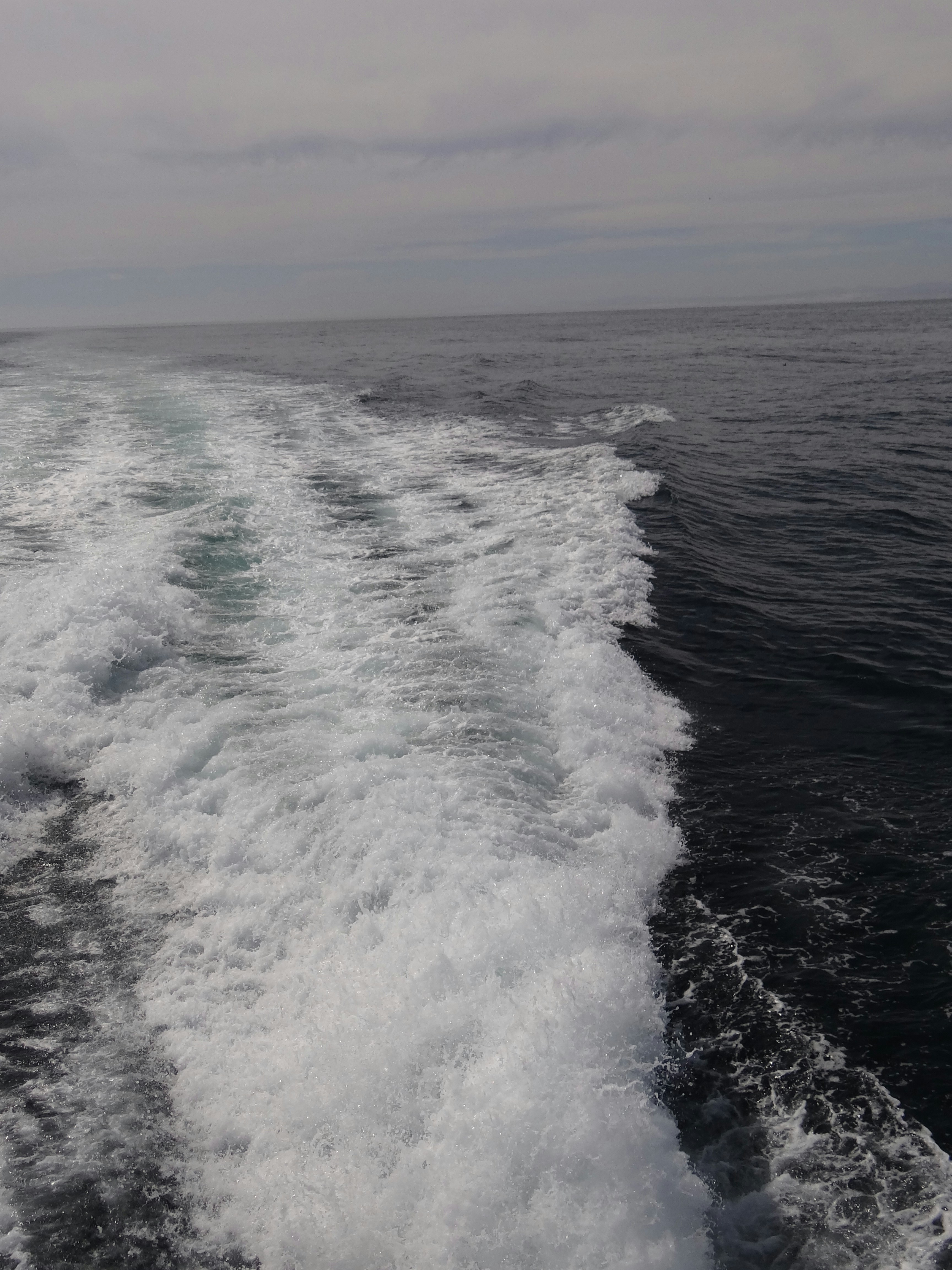 Le sillage d’un bateau dans l’océan photo – Photo Sud Africa Gratuite sur Unsplash