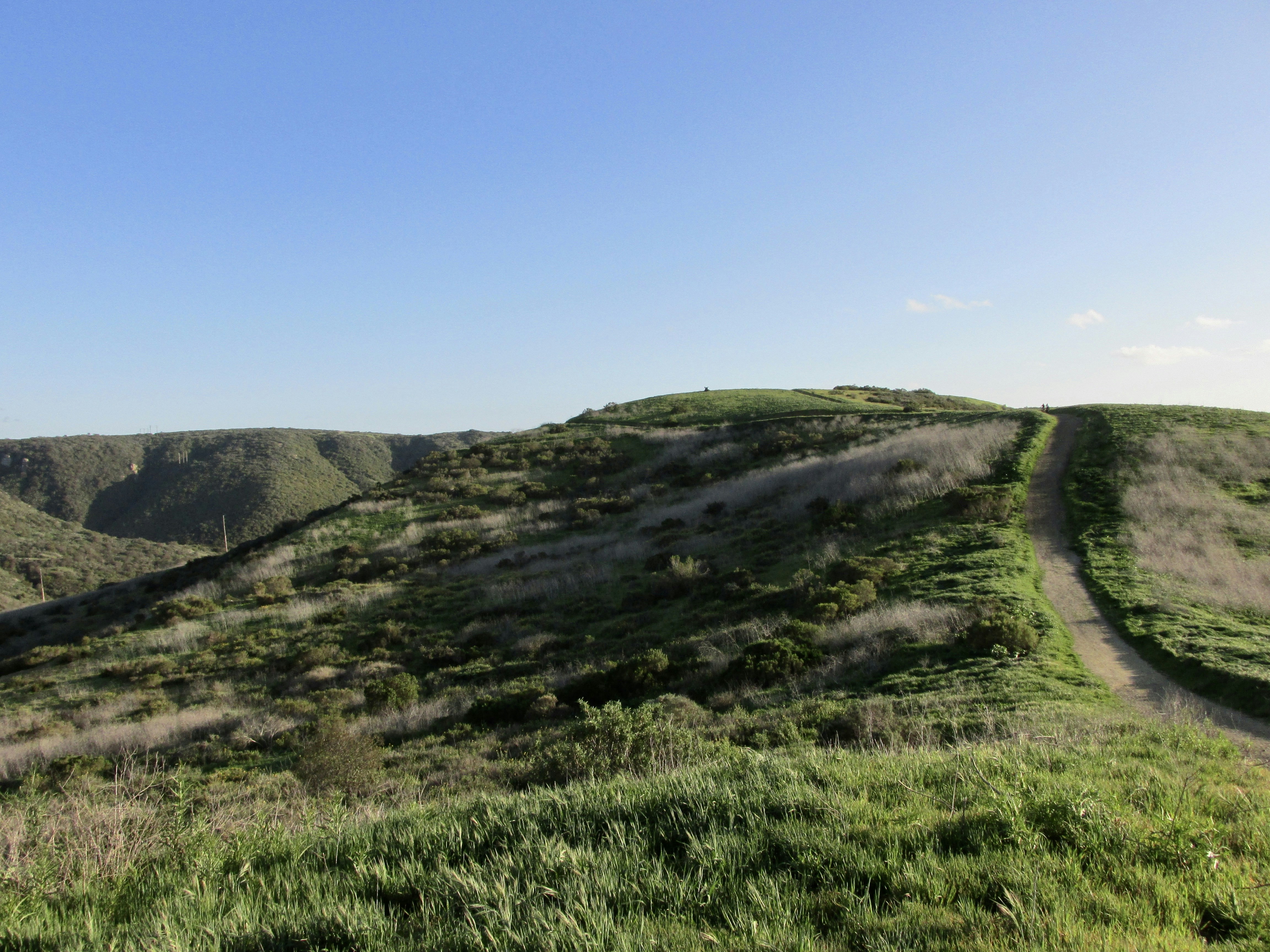 Sunlit grassy hills with a winding dirt path under a clear blue sky.