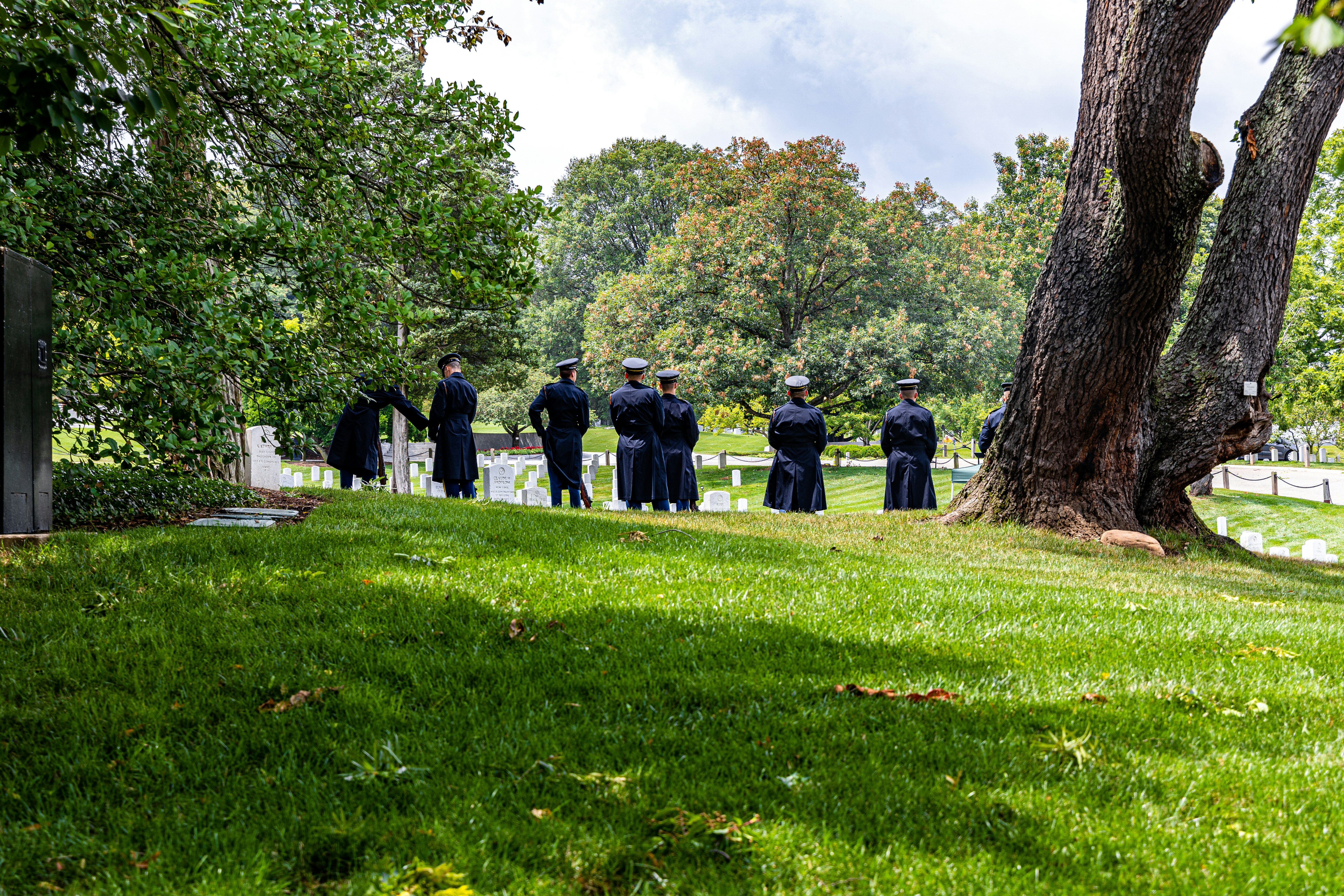 People dressed in formal attire standing in a sunlit park surrounded by lush trees.