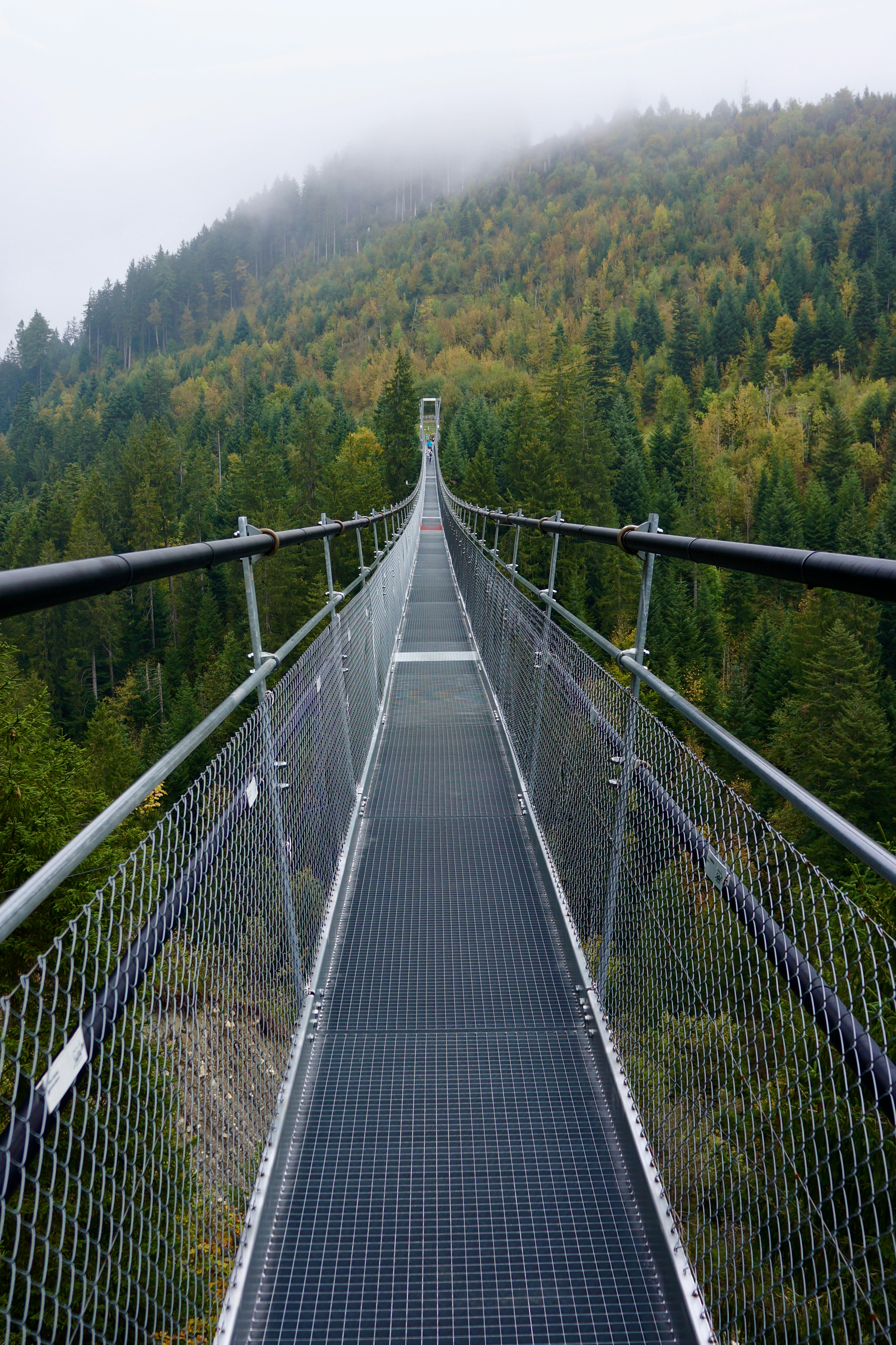 Un pont suspendu au milieu d’une forêt photo – Photo Tomber Gratuite ...