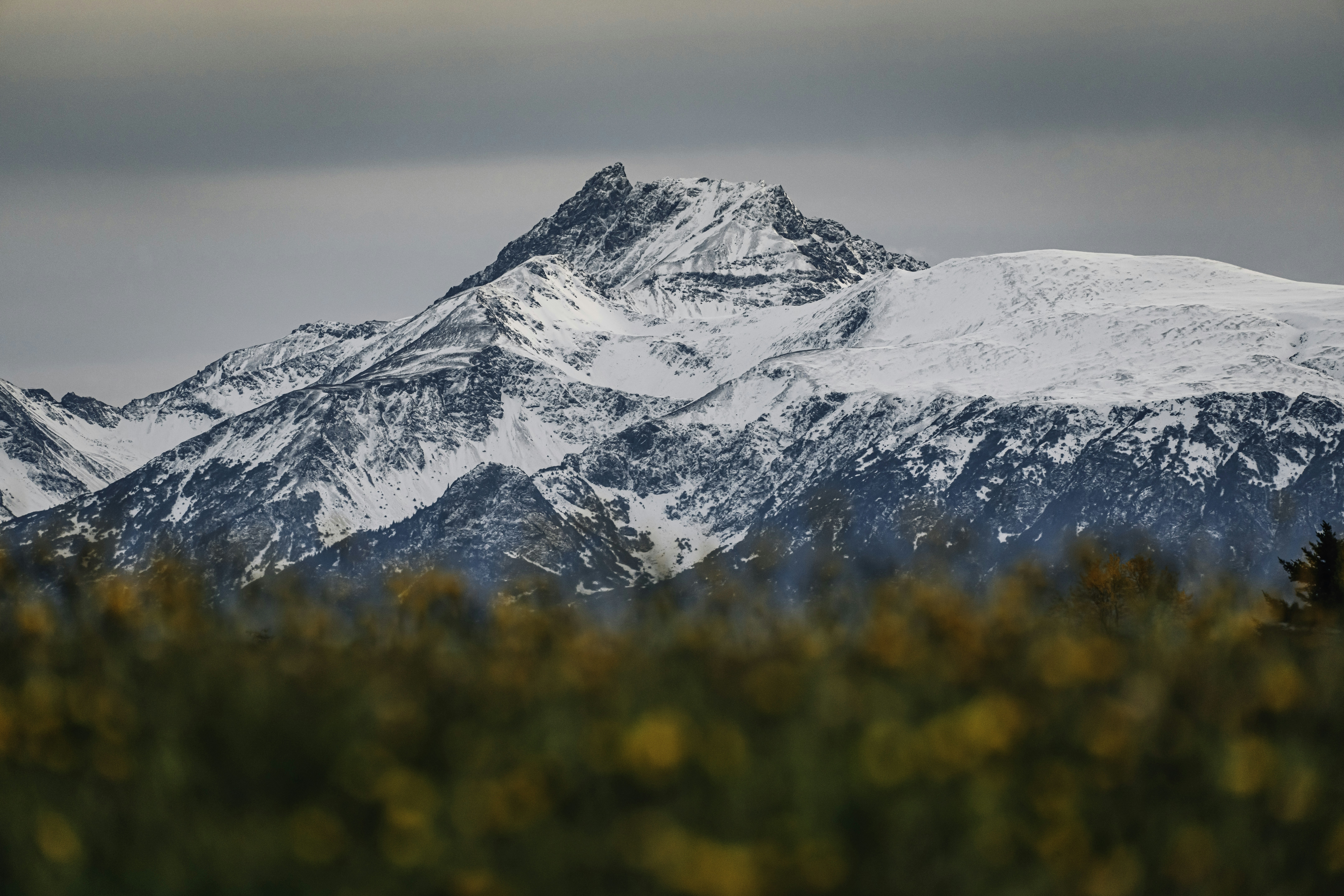 Snow-Crowned Summit Over a Golden Foothill Meadow
