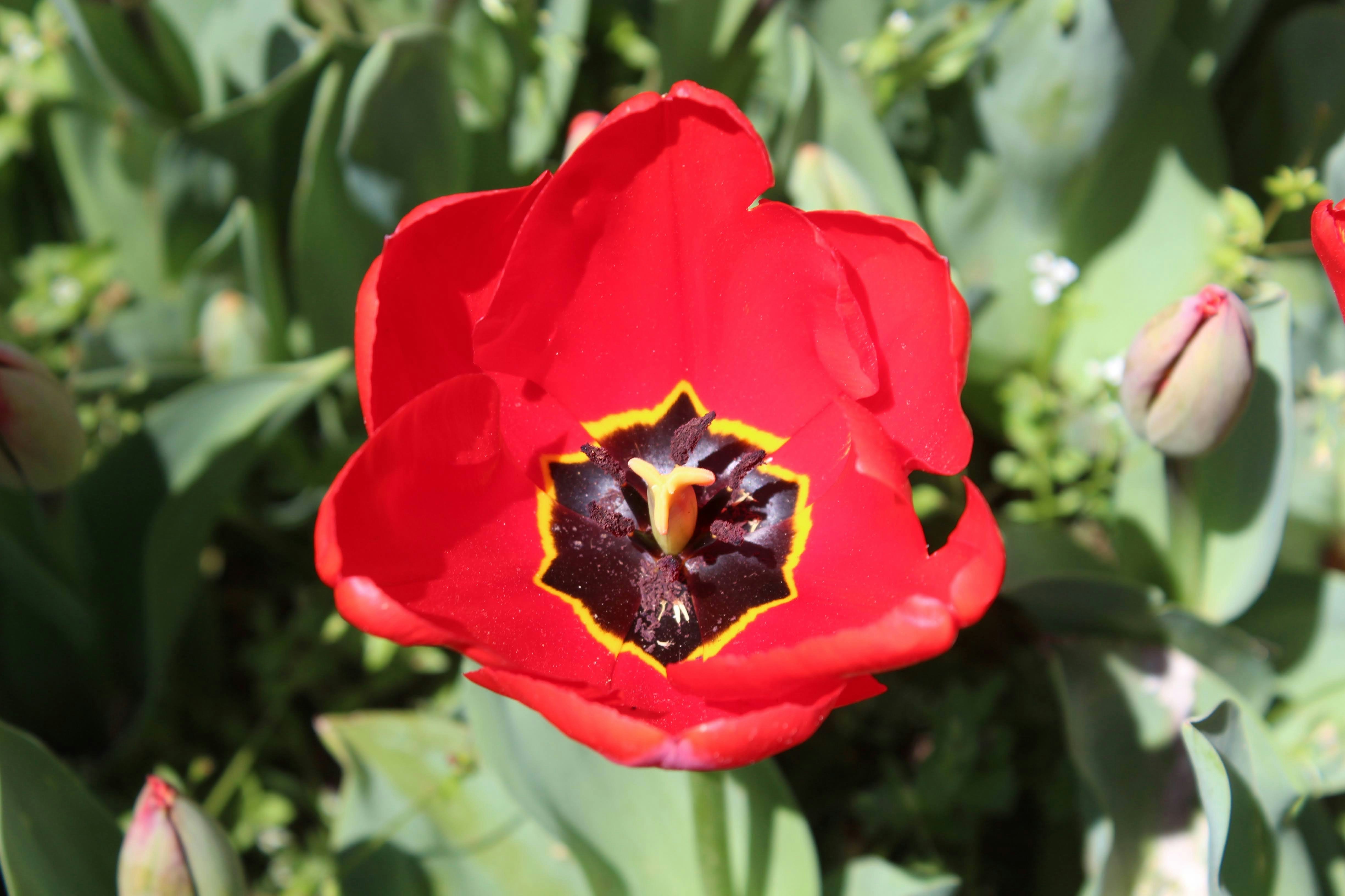 Abdul Rahman Dabbour (@ardabbour) | Komunitas Foto Unsplash