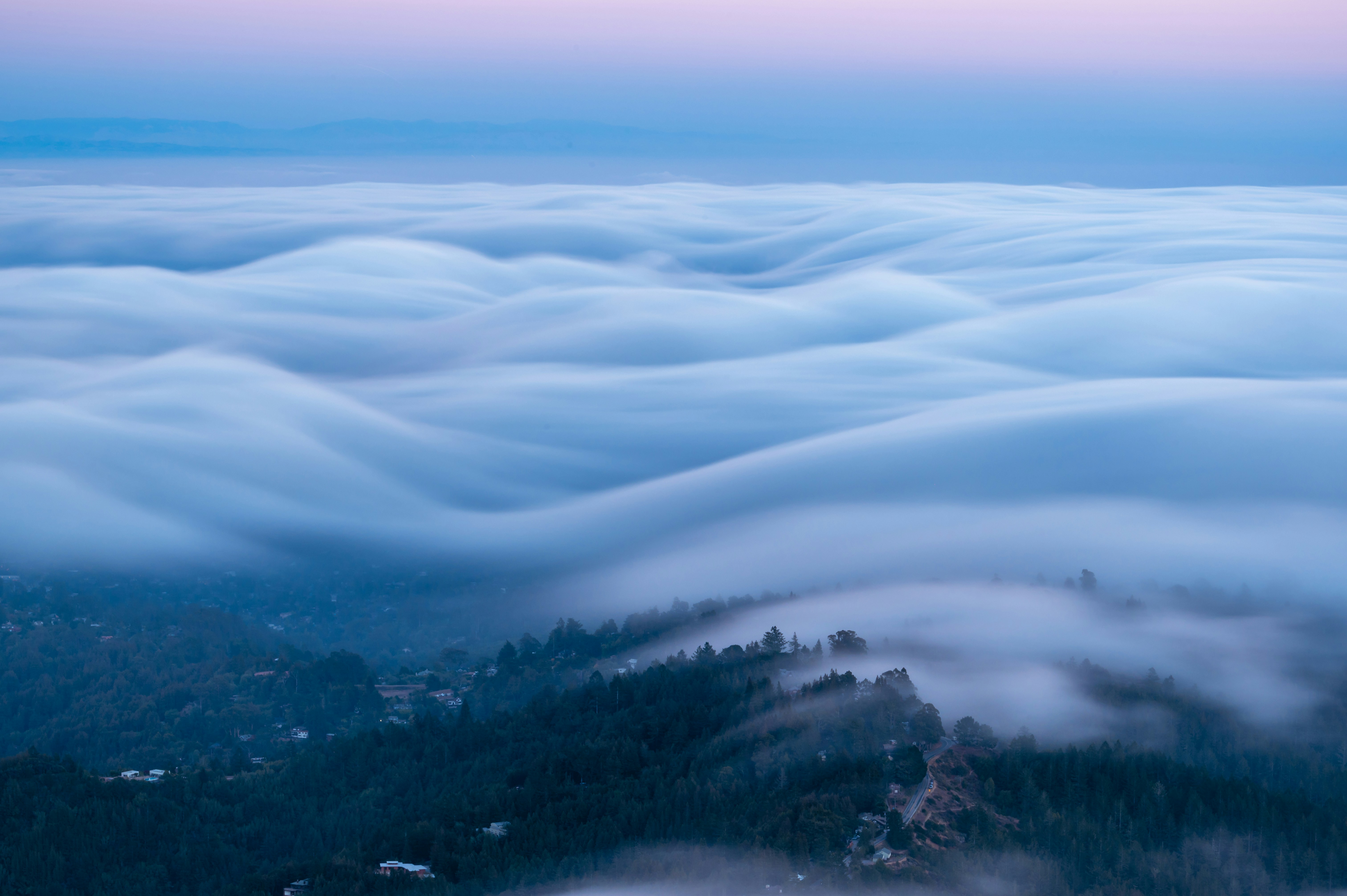 Velvet Cloud Waves Over a Quiet Forest Ridge at Blue Hour